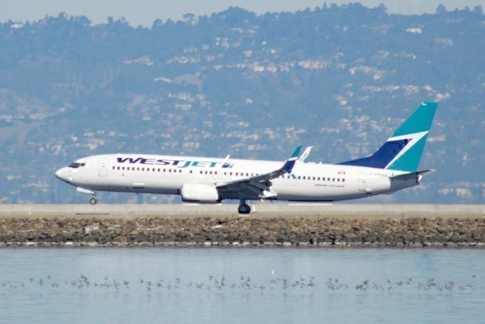 Why Do Some Aircraft Have Winglets?