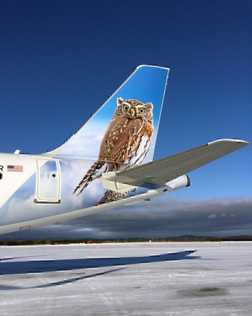 Here's Why Frontier Airlines Paints Animals On Its Aircraft Tails