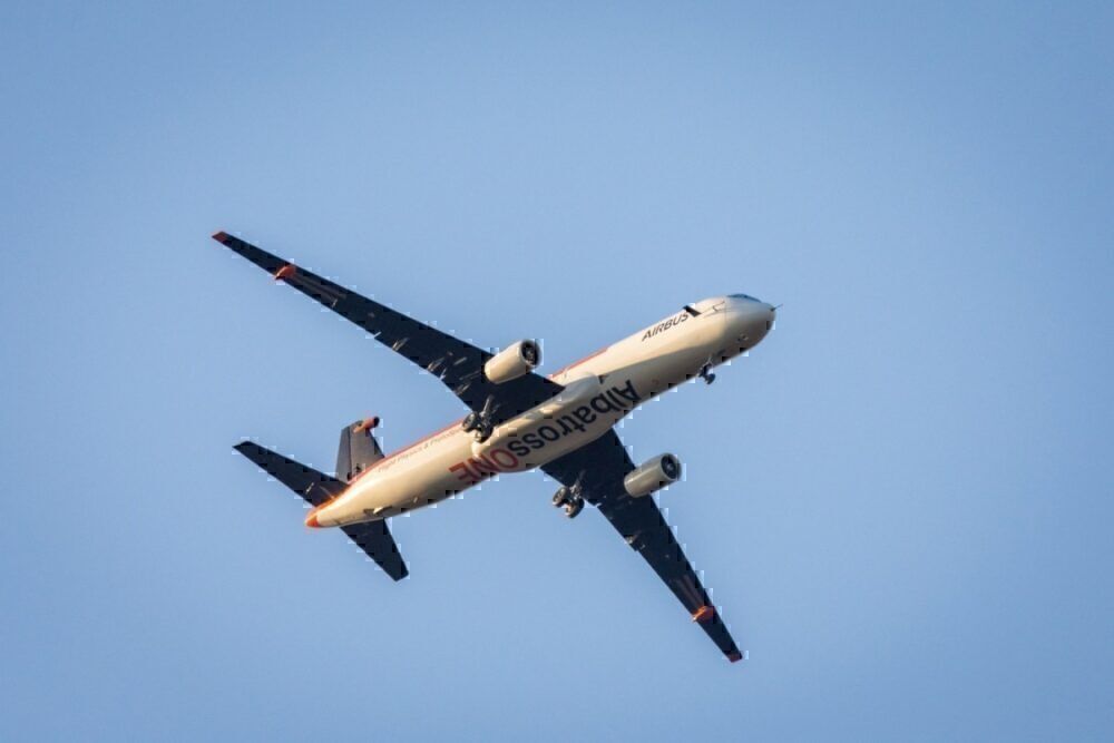 What Happened To Airbus' Albatross Aircraft With Flapping Wings