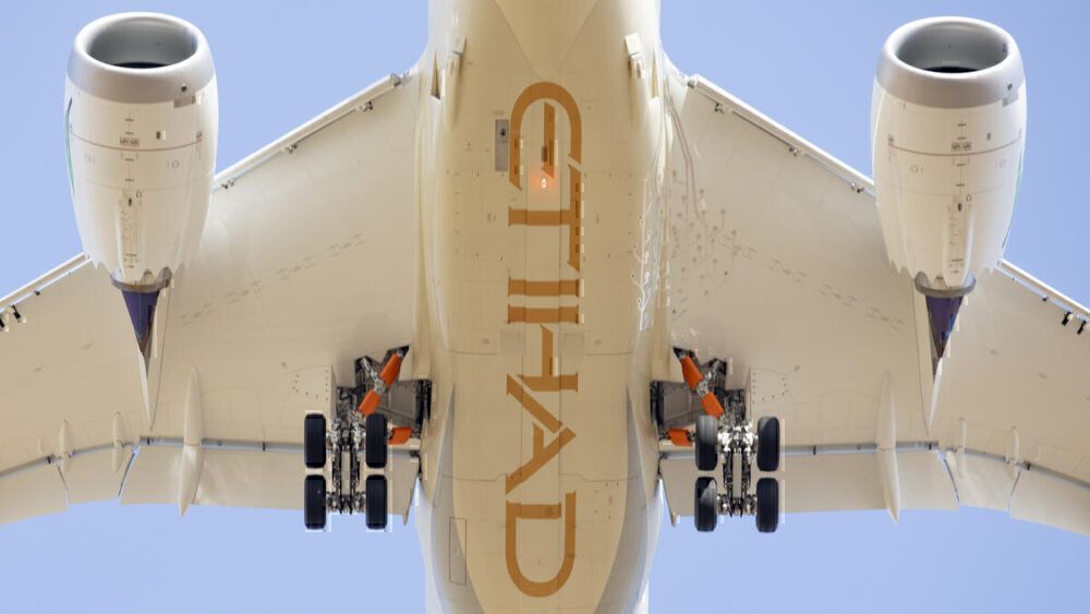 Why Boeing 737 MAX Engine Covers Are Serrated