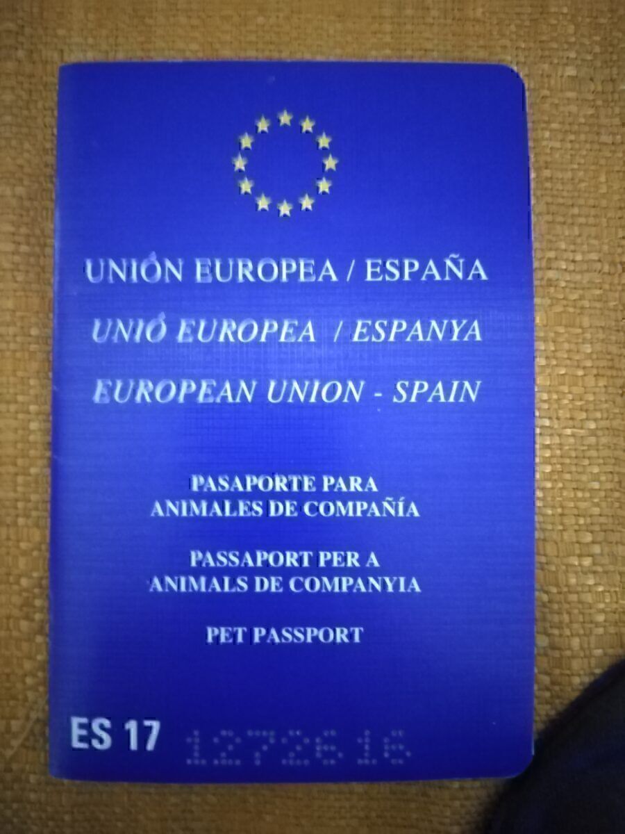 How To Take Your Pets To Europe From The USA