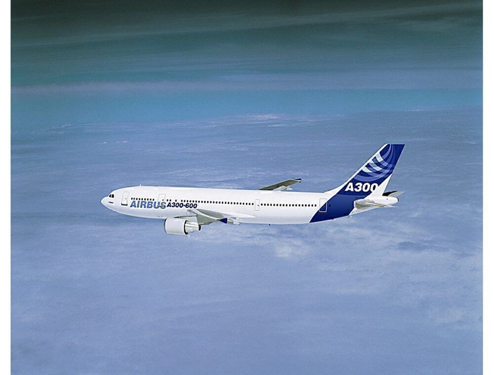 The Airbus A300 Vs A310 - What Is The Difference?
