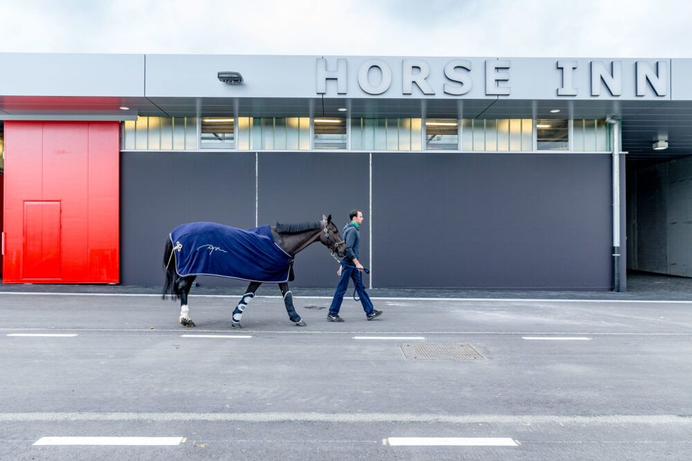 The Logistics Of Flying Horses To The Tokyo Olympics