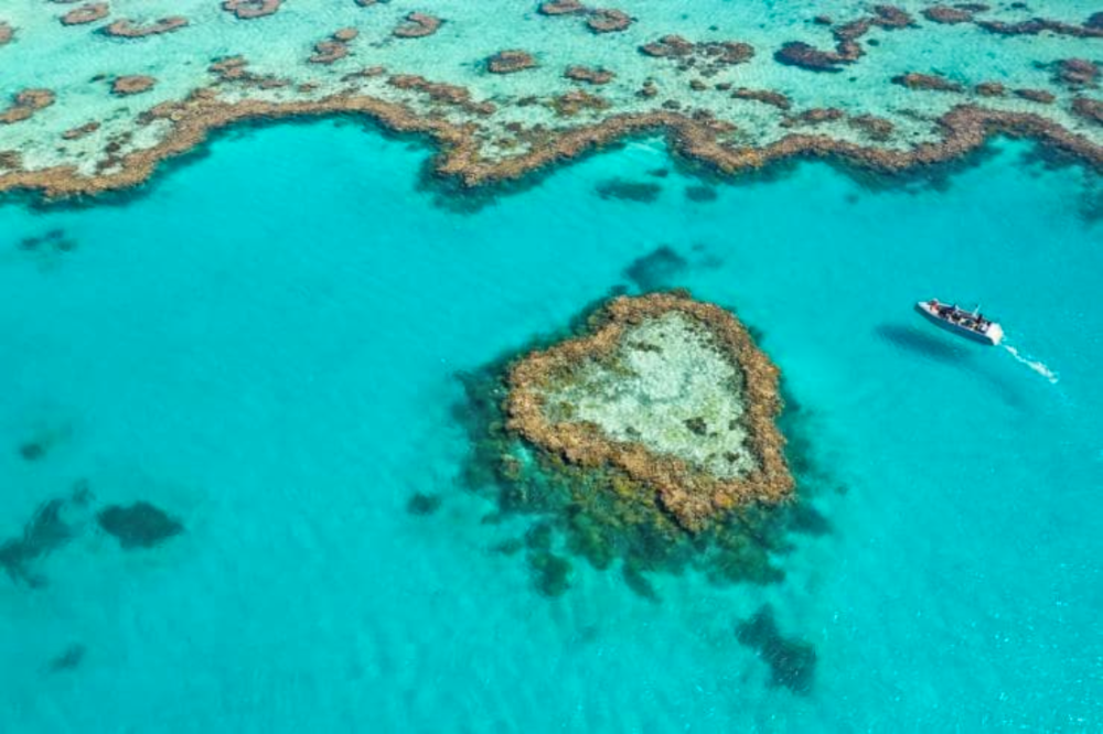Qantas Is Heading Back To Proserpine
