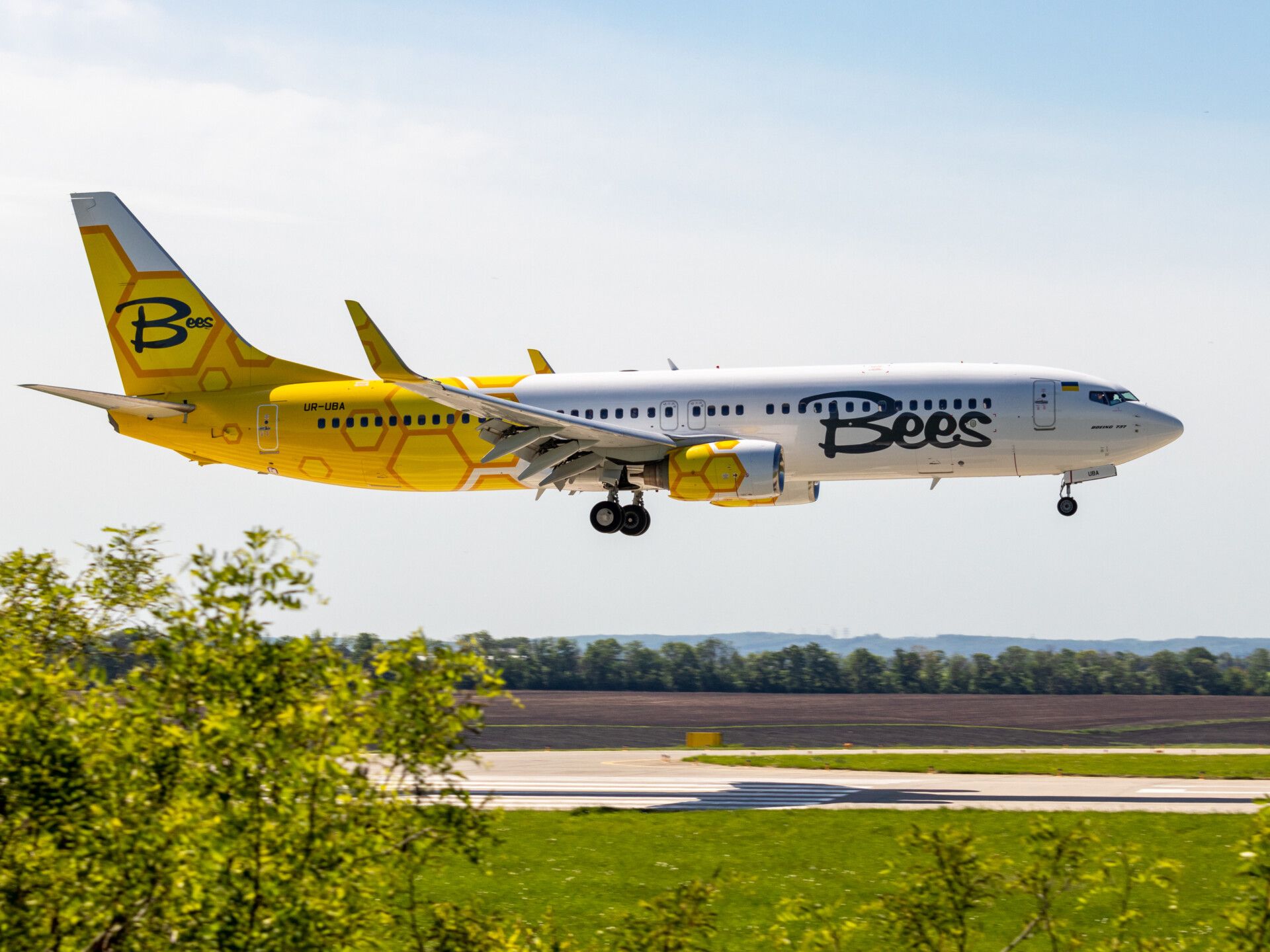 Bees Buzzes Across To Prague With New Route