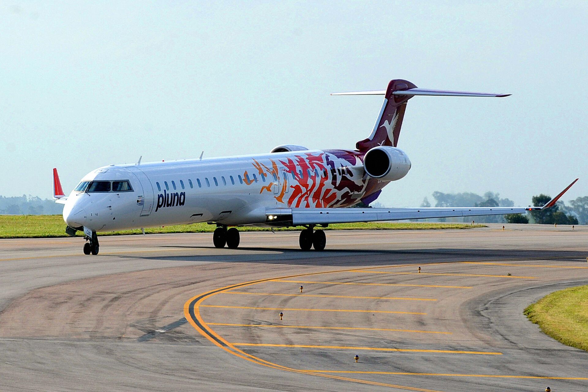 What Happened To Uruguay Flag Carrier Pluna?