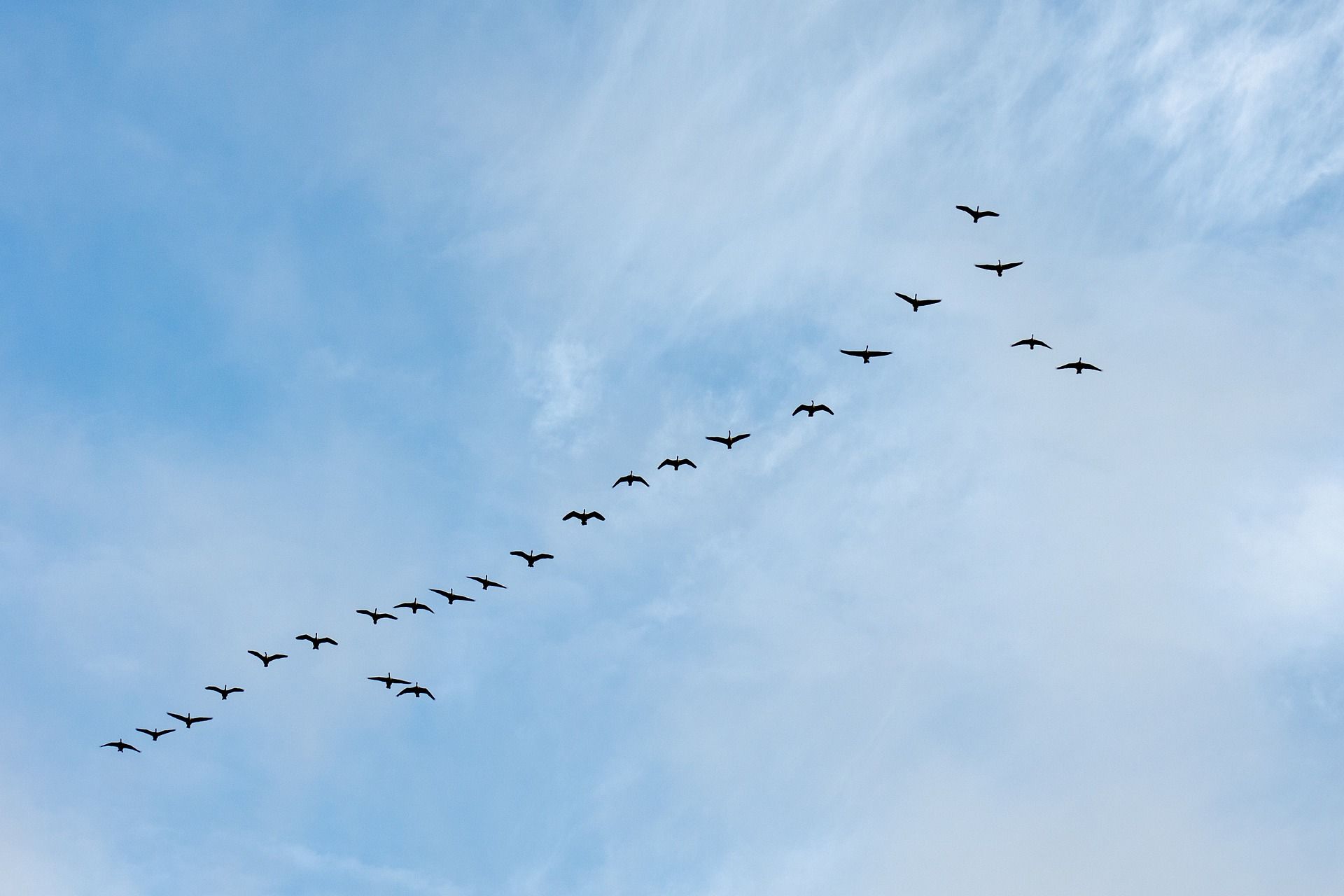 Airbus A350s Fly Across The Atlantic In A Bird Like Formation