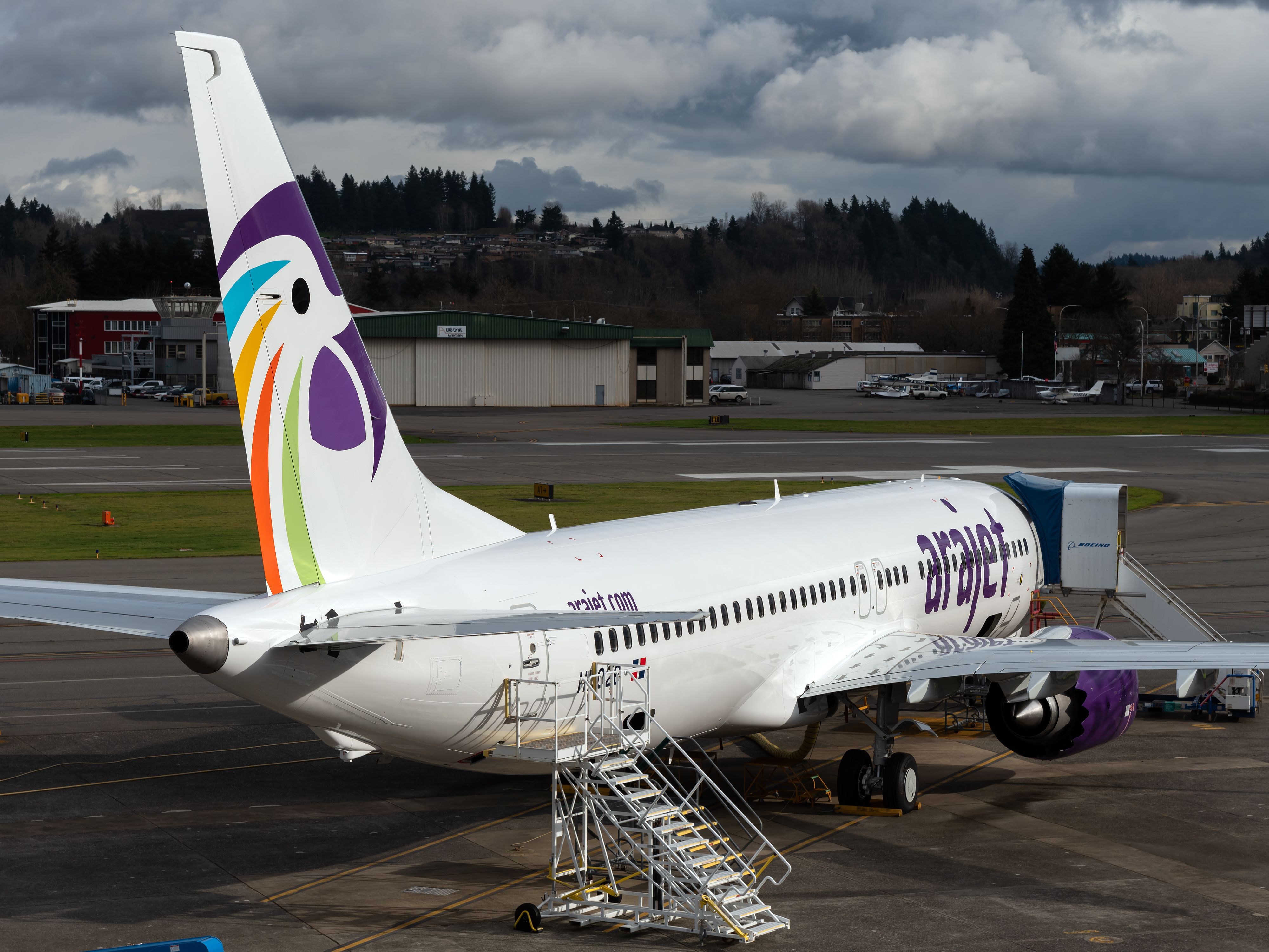 Bird Or Dolphin? The Story Of AraJet's Boeing 737 MAX Tail