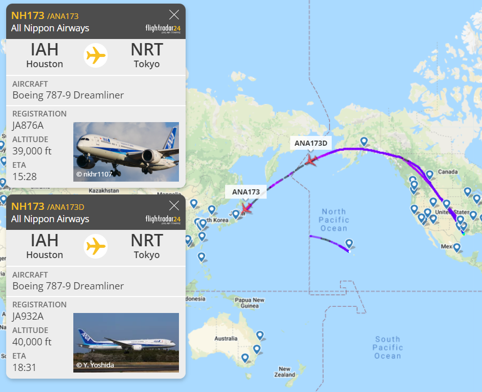 Unexpected Visitor: Weather Makes ANA 787 Divert To Dallas Fort-Worth