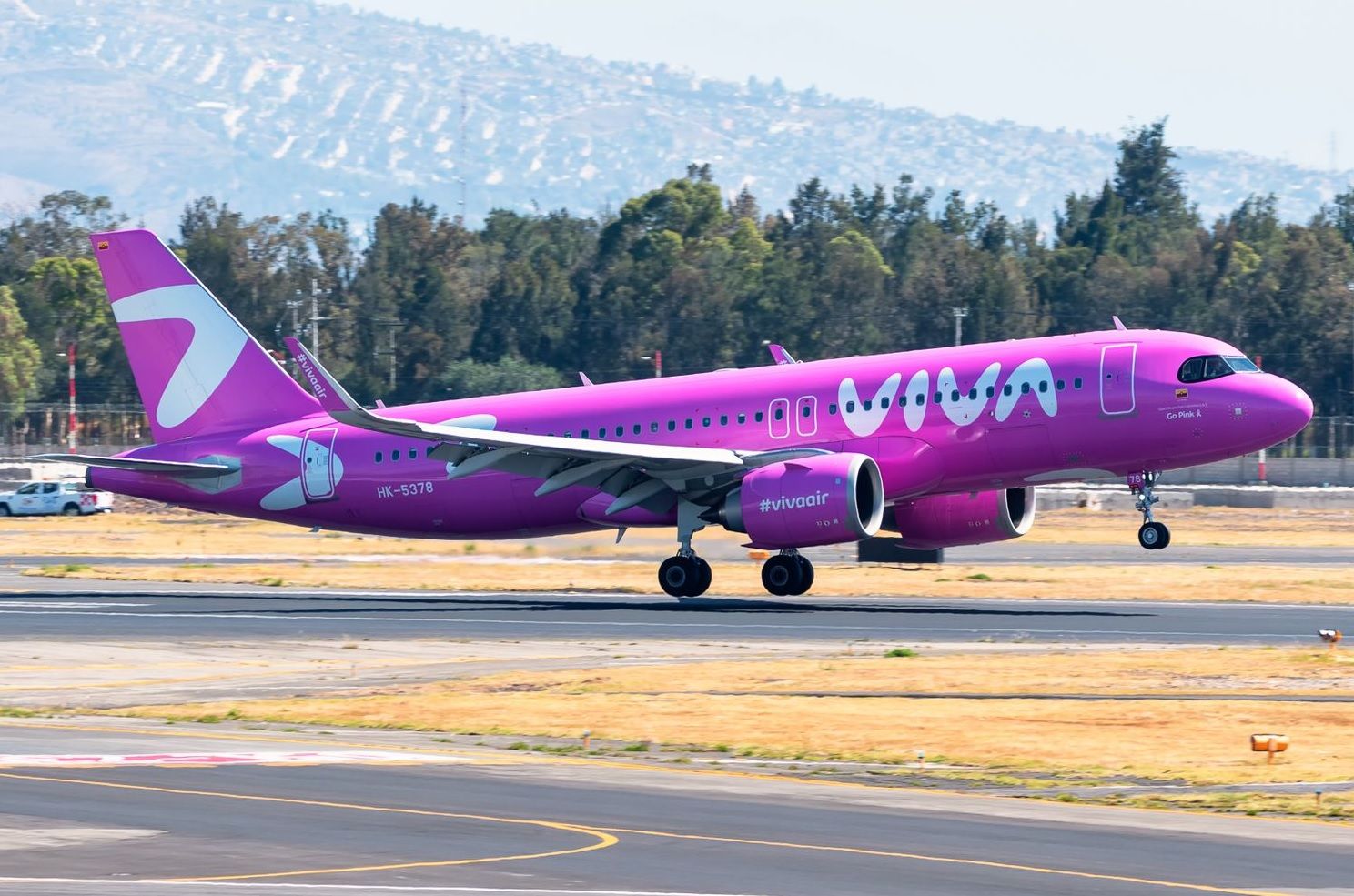 New Group Would Give Avianca & Viva 2/3 Of The Domestic Market