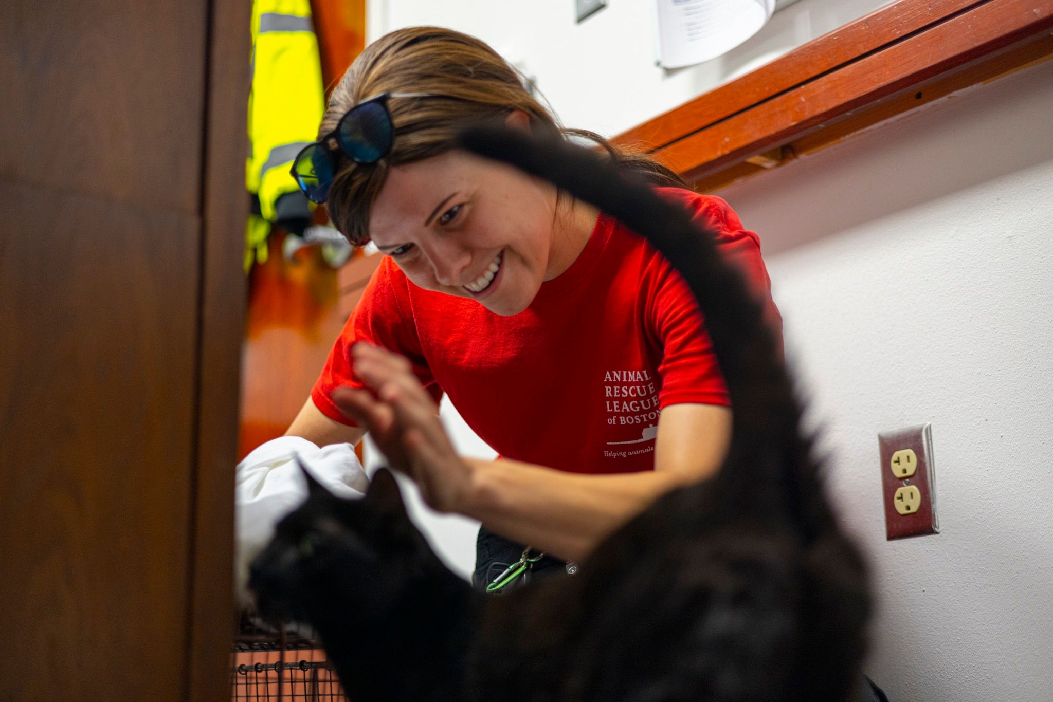 Missing Cat Caught At Boston Airport After 3 Weeks On The Run