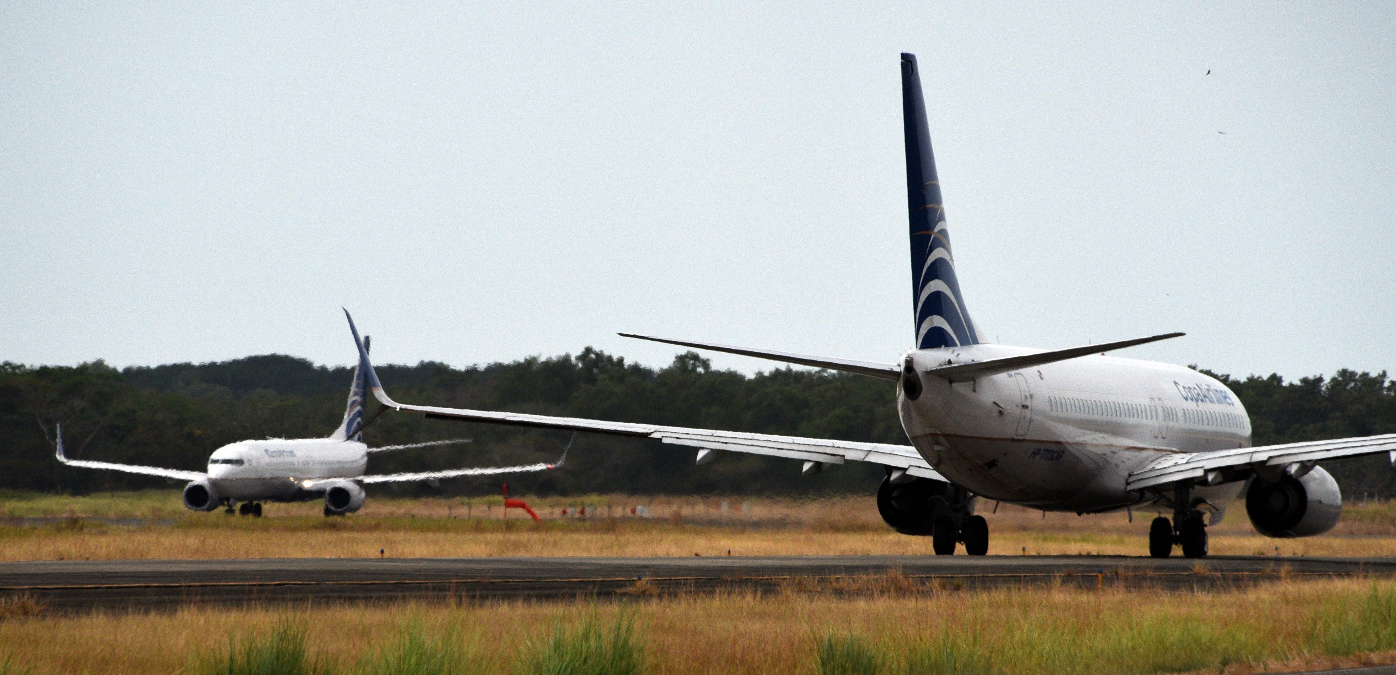 Copa Airlines Expects To Grow Its Fleet 10% Next Year