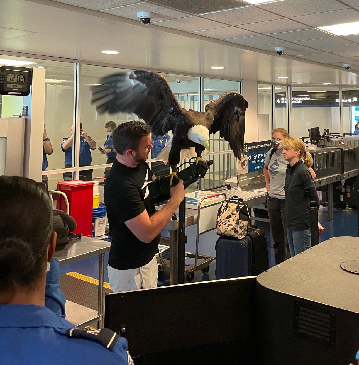 Charlotte TSA examines an eagle – 6PARK.NEWS/MISSOURI
