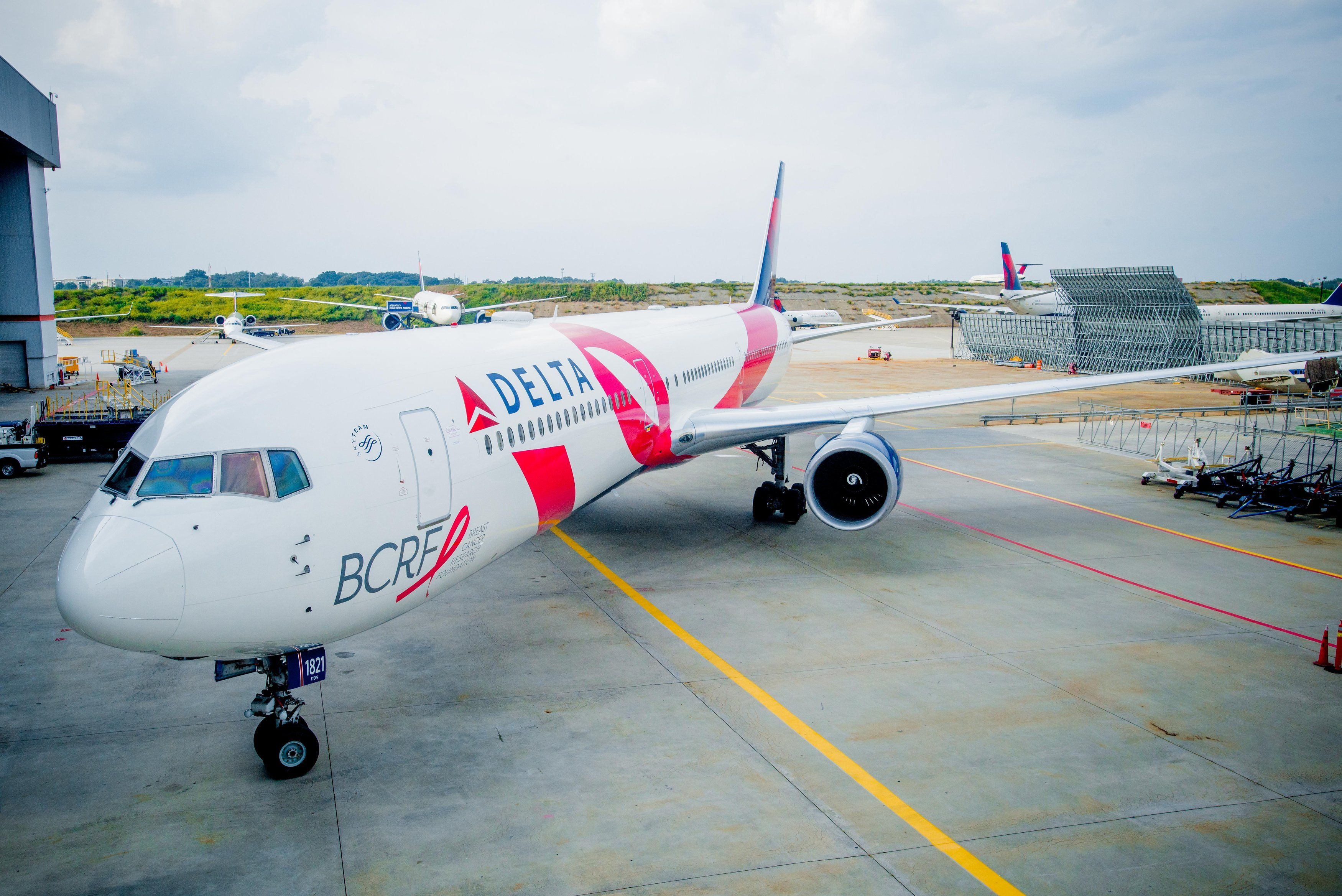What Special Liveries Has Delta Air Lines Painted Its Aircraft In? What Special Liveries Has Delta Air Lines Painted Its Aircraft In?