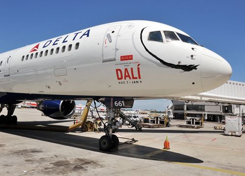 What Special Liveries Has Delta Air Lines Painted Its Aircraft In?