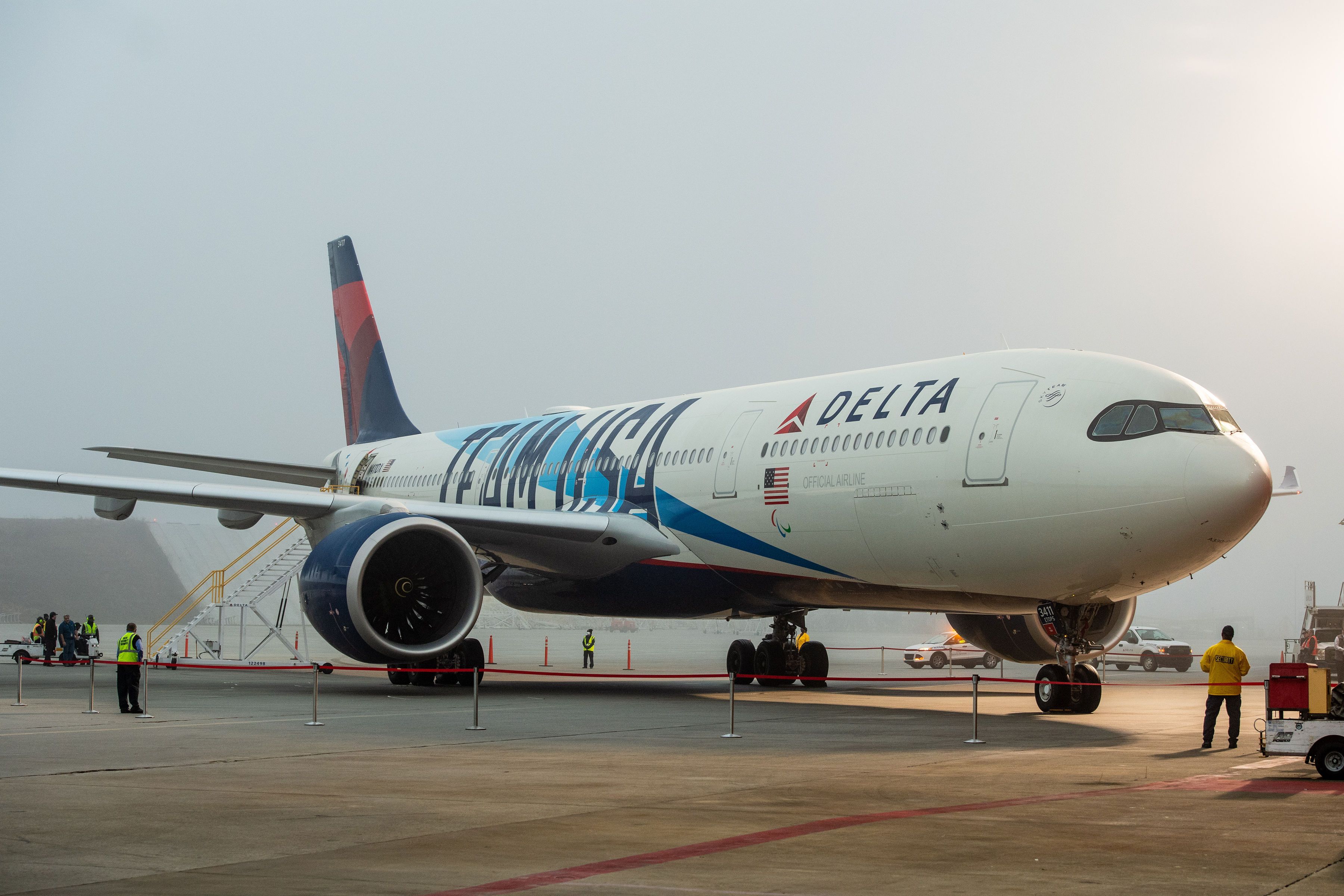 What Special Liveries Has Delta Air Lines Painted Its Aircraft In? What Special Liveries Has Delta Air Lines Painted Its Aircraft In?