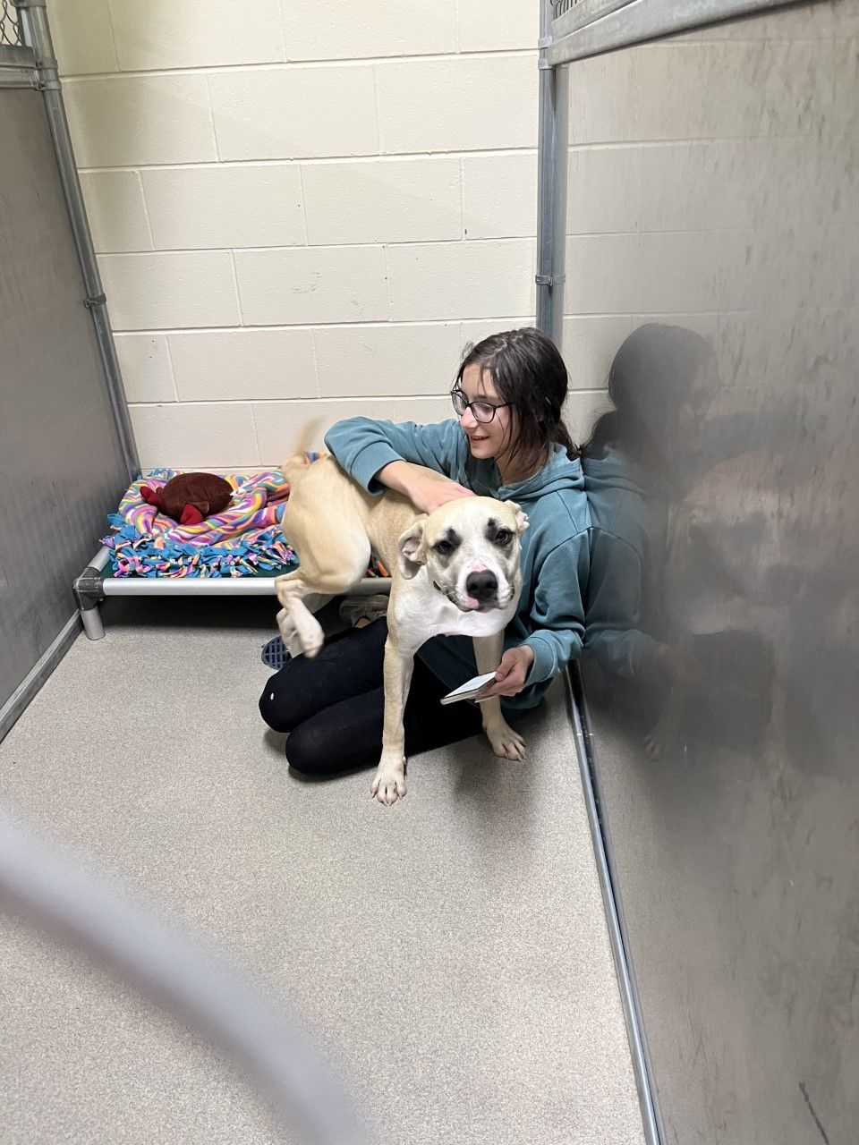 Ameriflight Metroliner Belly Lands On Golf Course With Cargo Of 56 Dogs