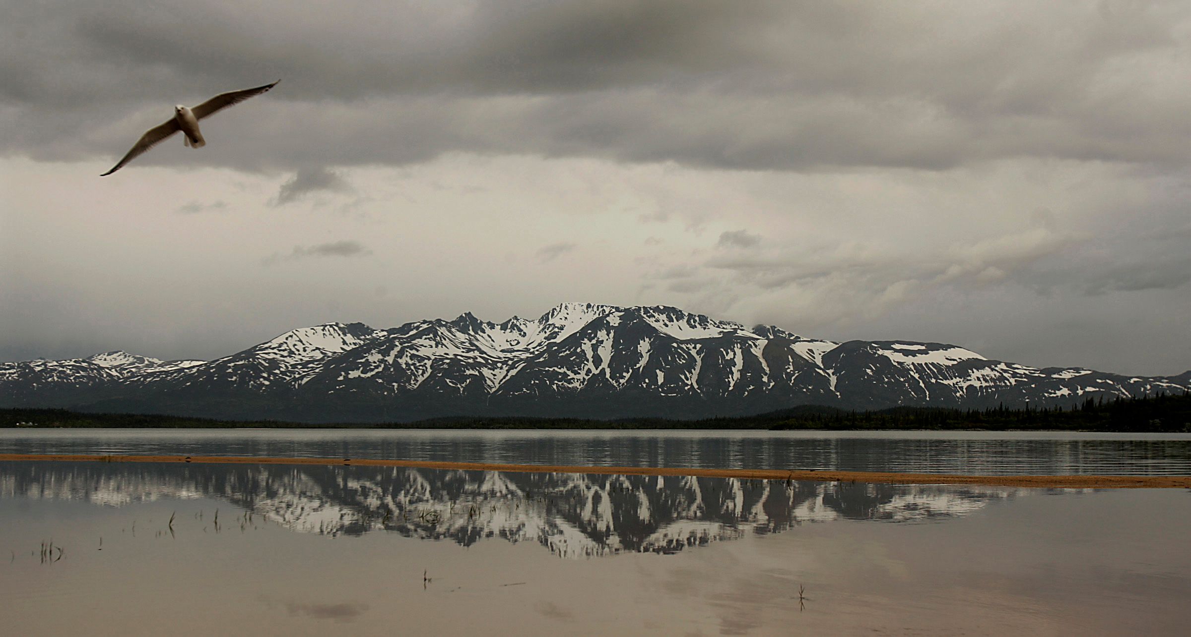 Wien Consolidated Airlines Flight 55: The Milk Run That Went Wrong