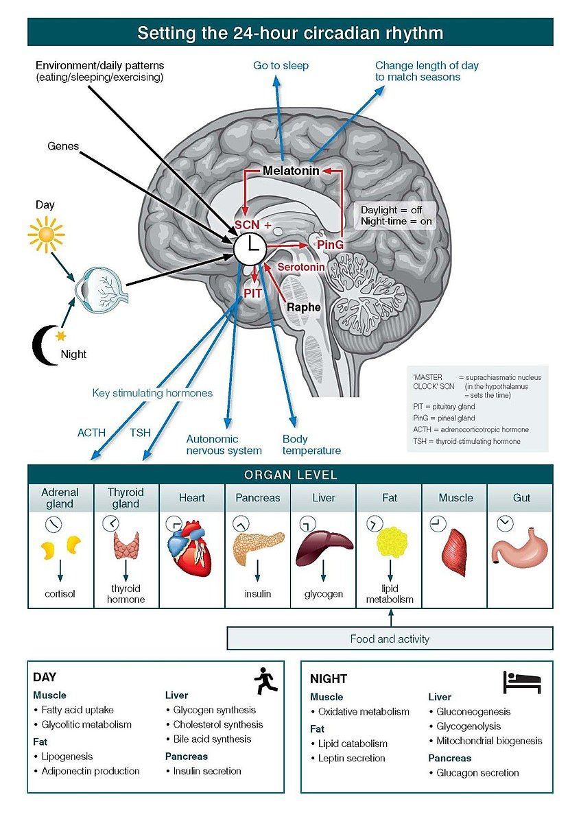 How Do Athletes Deal With Jet Lag?