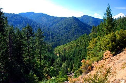 How West Coast Airlines Flight 956 Became The DC-9s First Hull Loss