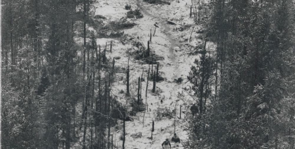 Air Ontario Flight 1363 - A Cabin Crew Perspective