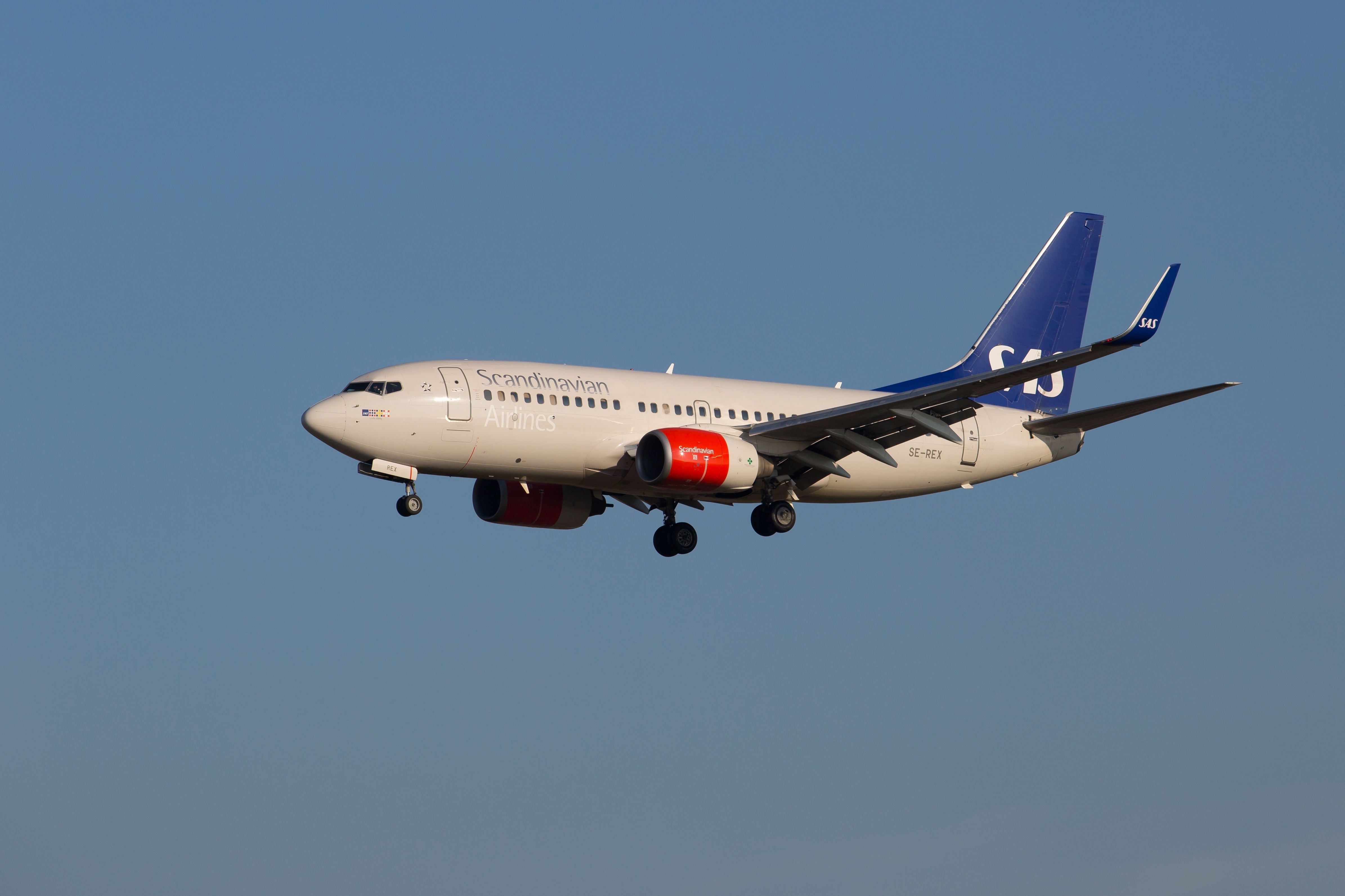Rare Breed: A Look At Scandinavian Airlines' Few Remaining Boeing 737s