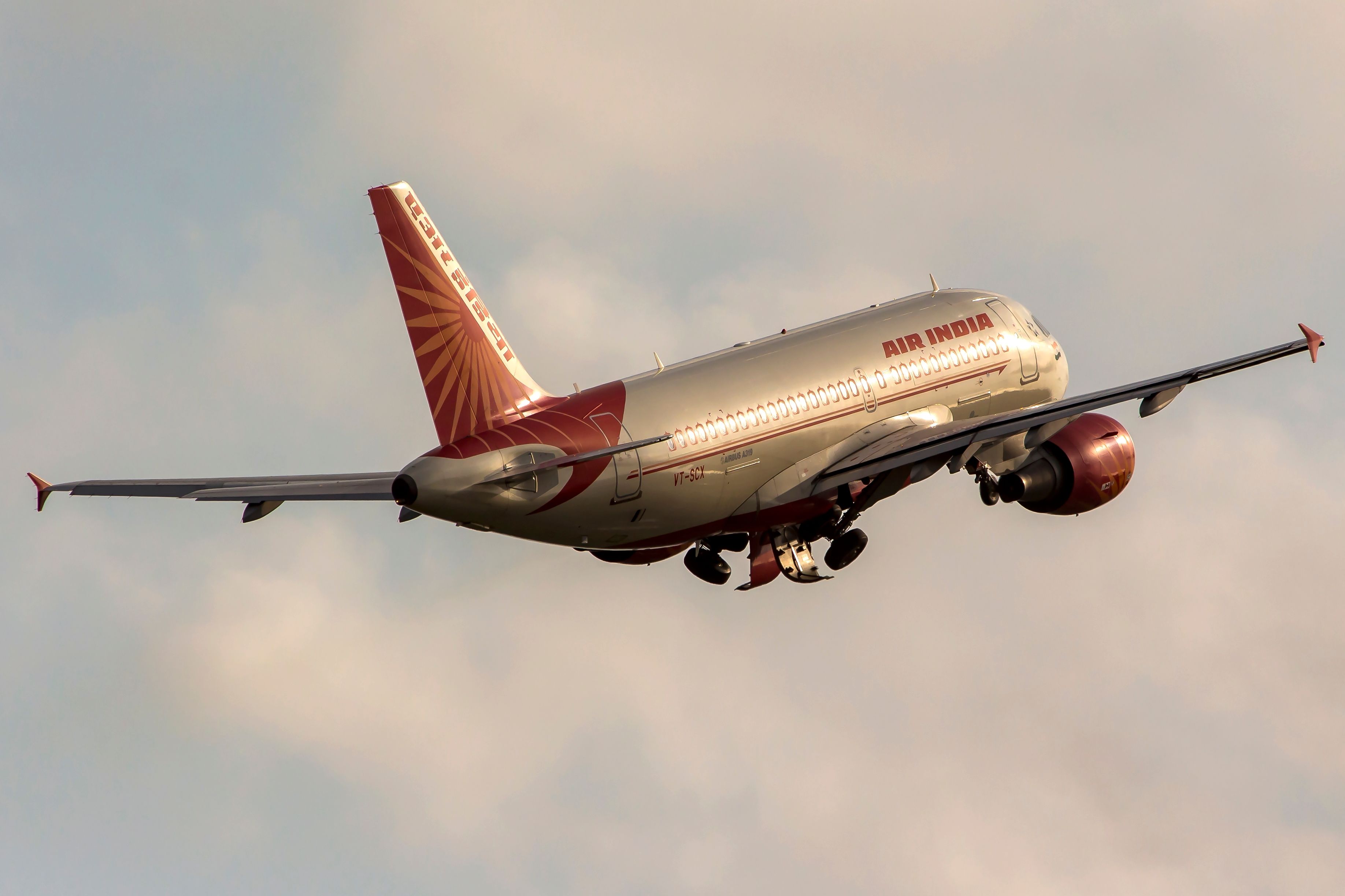 Woman Stung By Scorpion On Air India Airbus A319 Woman Stung By Scorpion On Air India Airbus A319