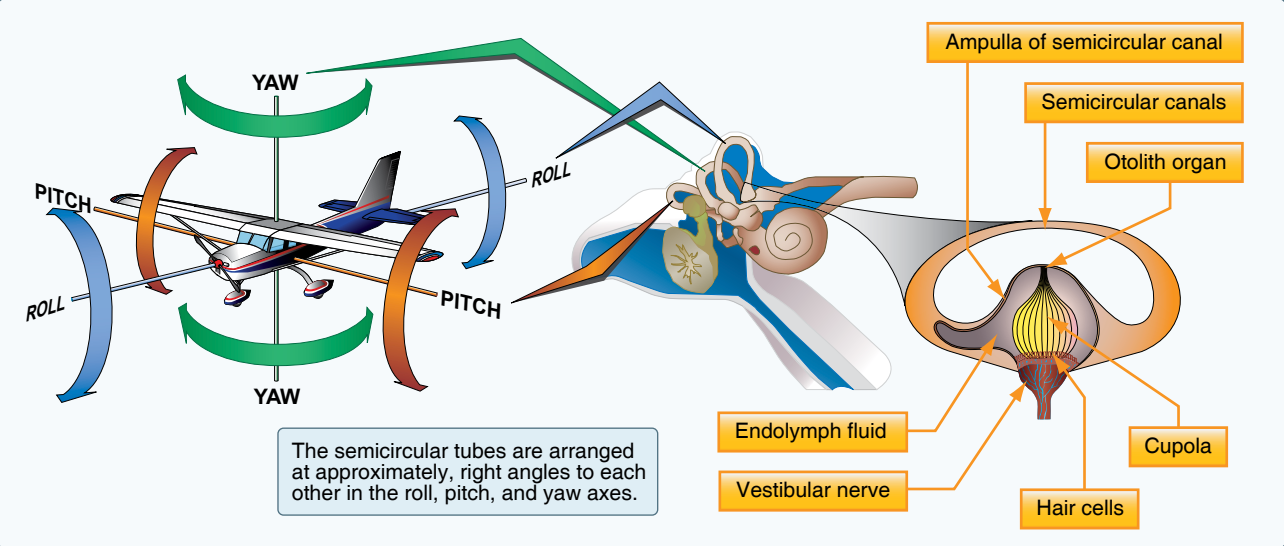 How Pilots Deal With Motion Sickness