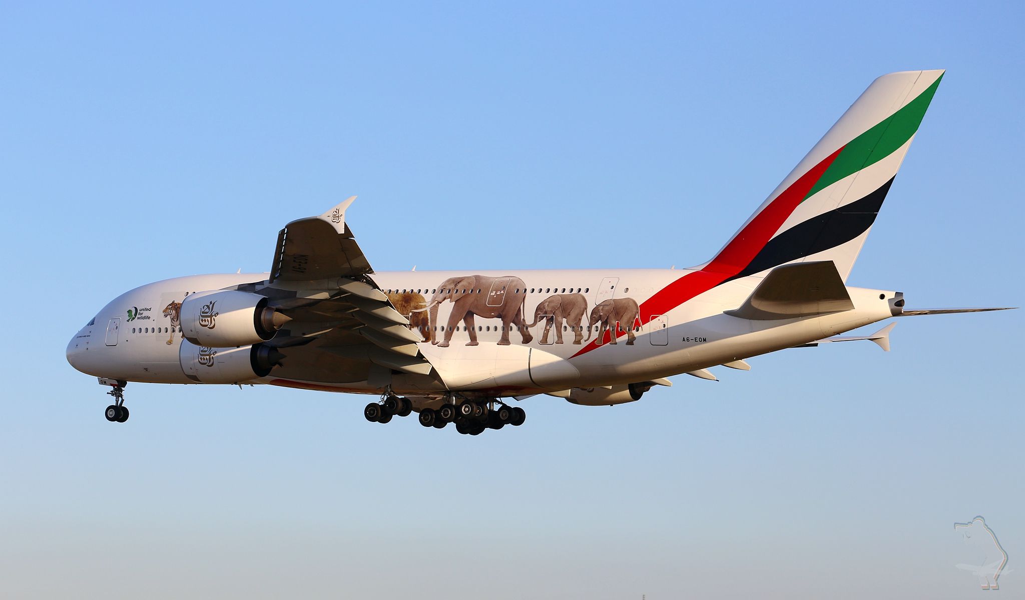 Reports Suggest Emirates Airbus A380 Hit A Drone Landing In Nice