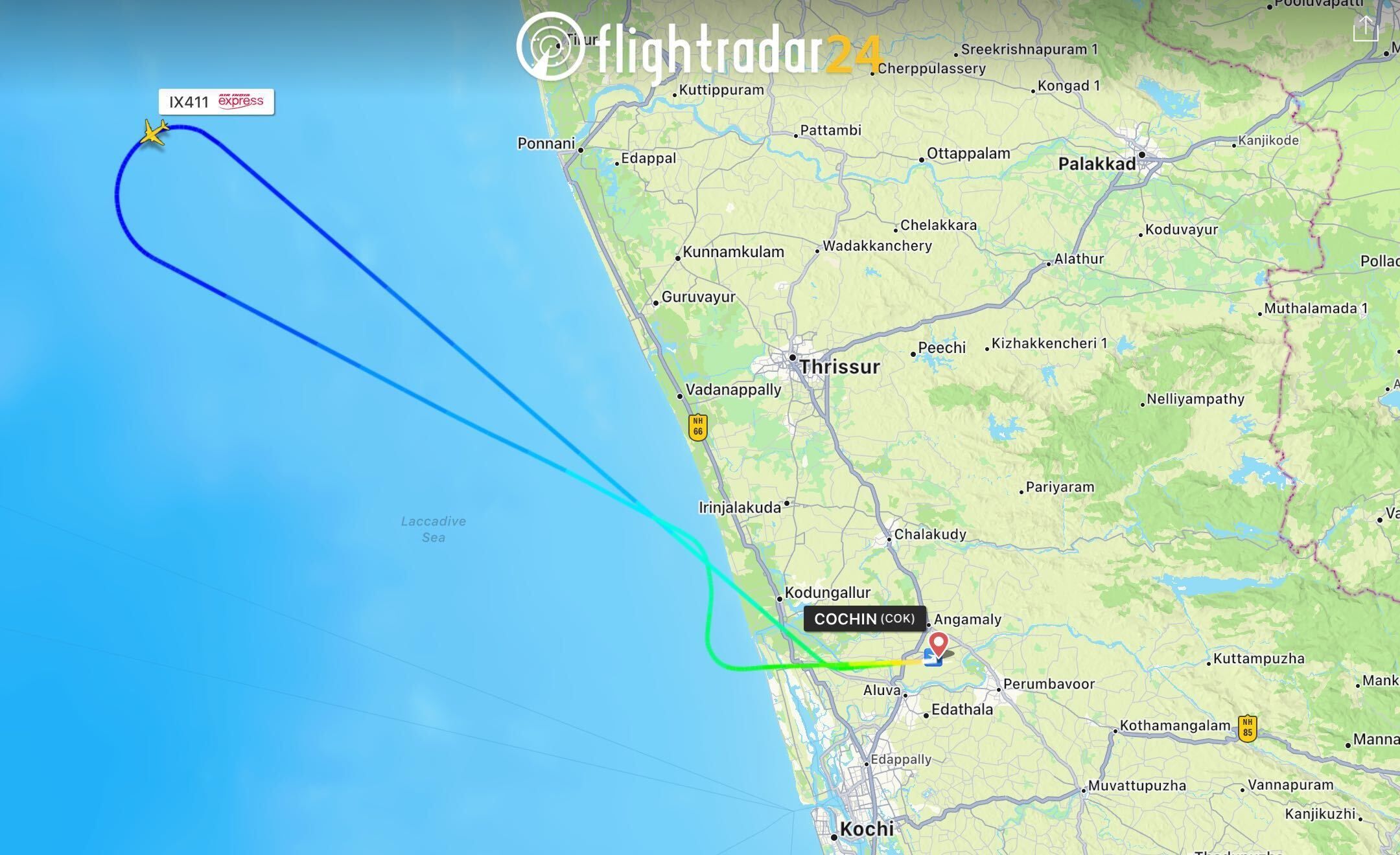 Onions Could Have Diverted An Air India Express Flight