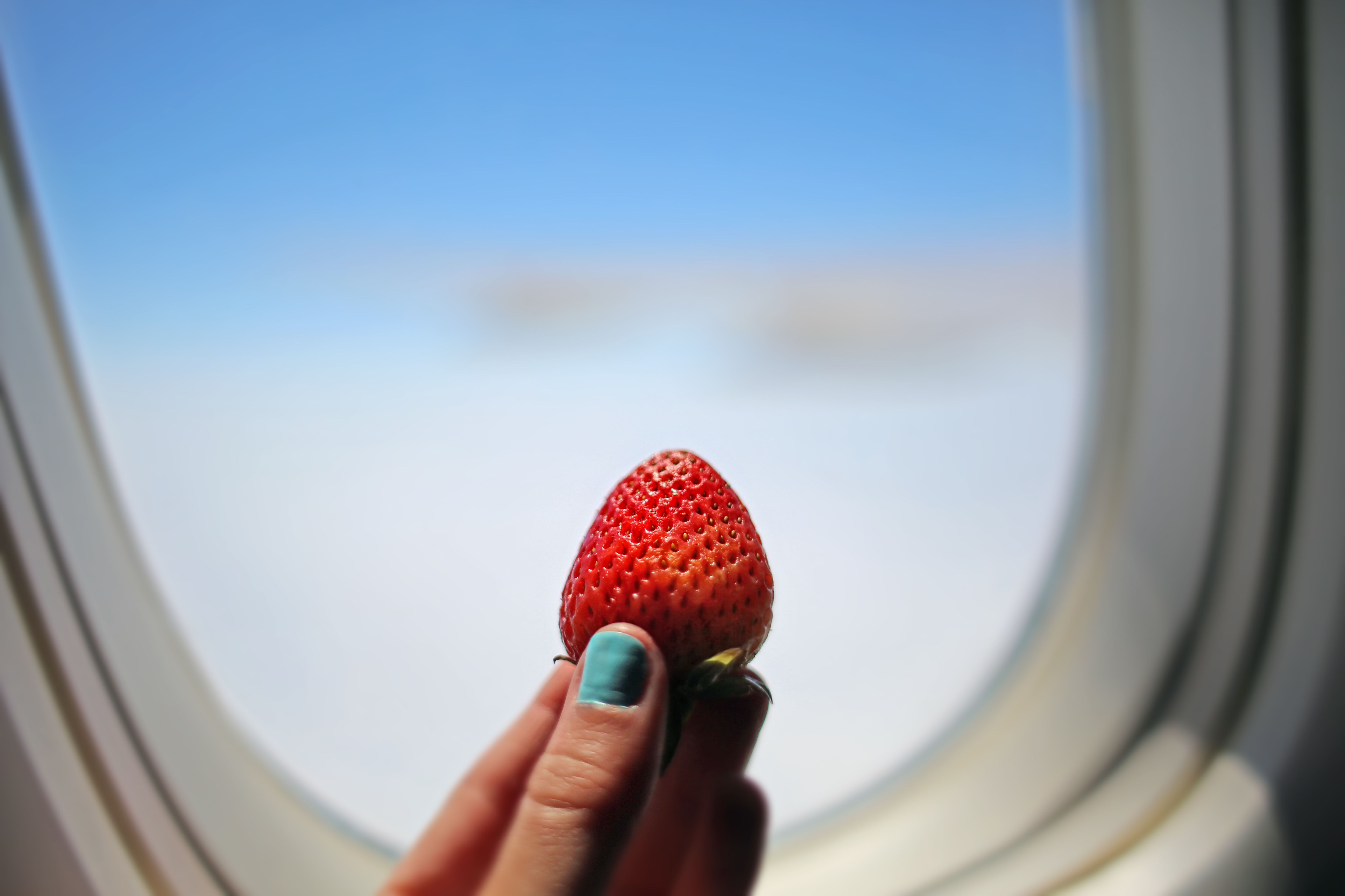 10 Types Of Food That Passengers Can't Take On Aircraft