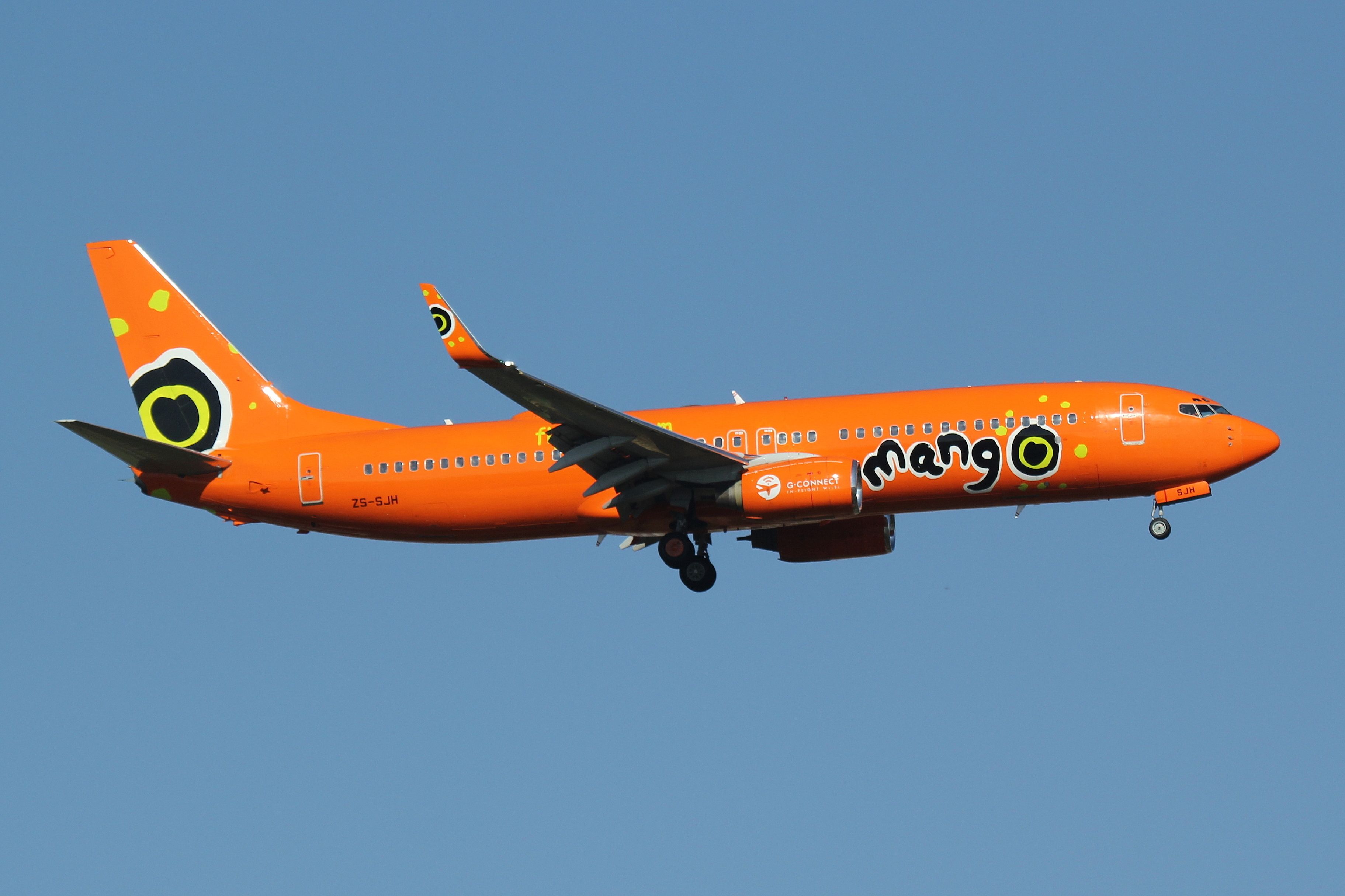 South African Minister Refuses To Be Rushed By Court In Mango Airlines Sale