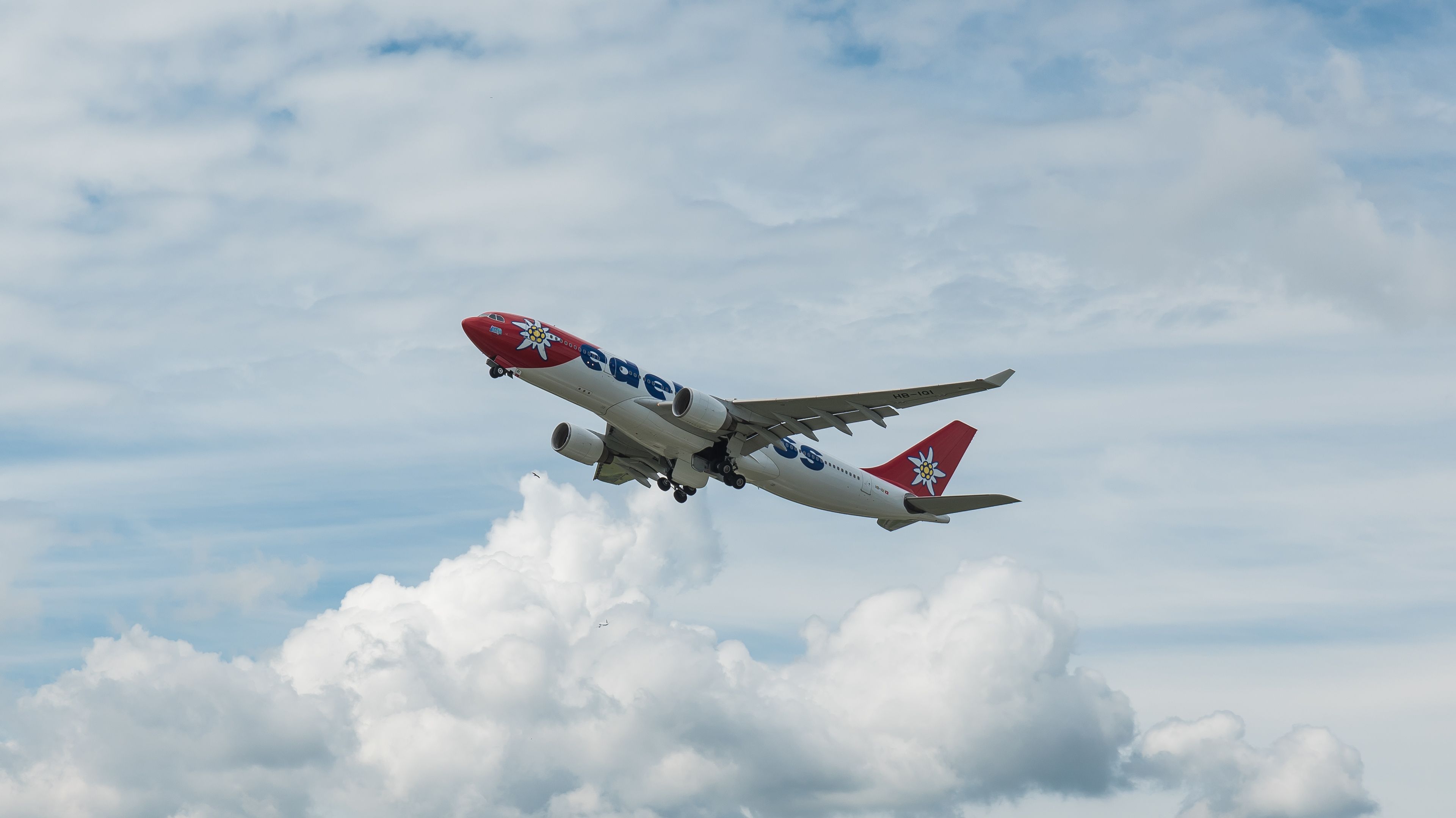 What Is The Oceanic Contingency And Why Does It Matter?