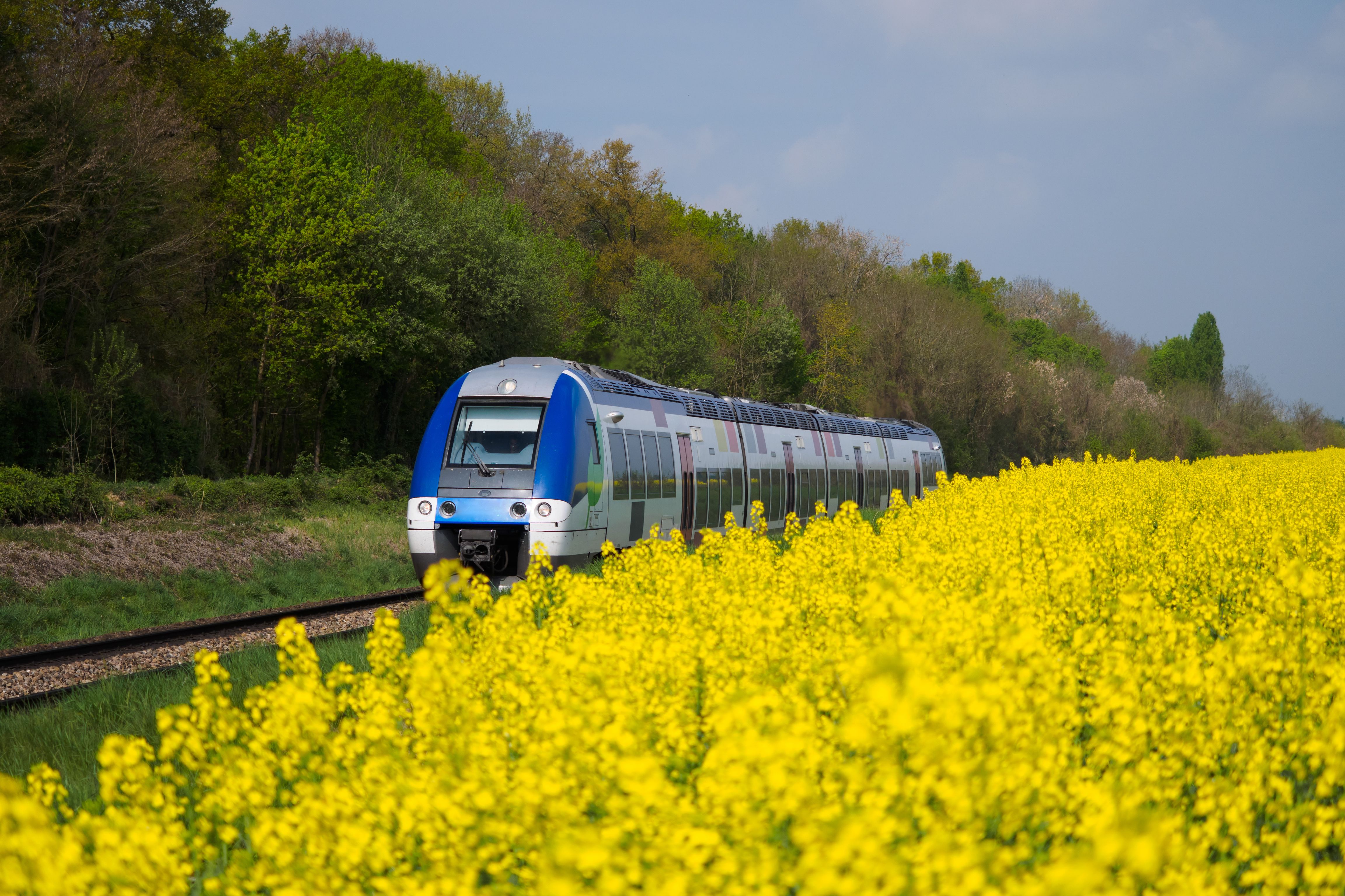 Airlines In Spain Say Poor Rail Links Invalidate Domestic Flight Ban Plans