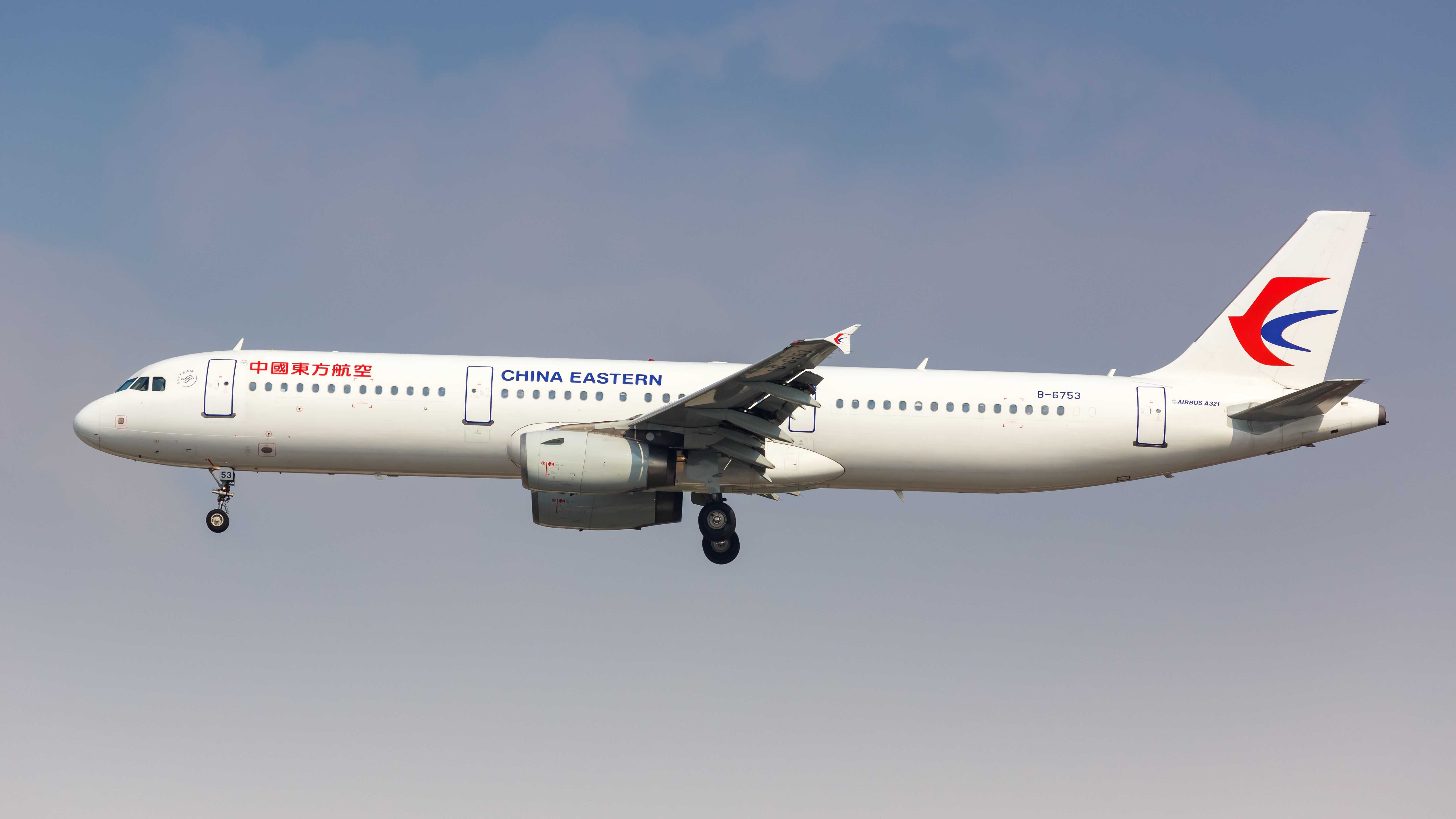 China Eastern Serves Up 'Dog Food' In Business Class Translation Disaster