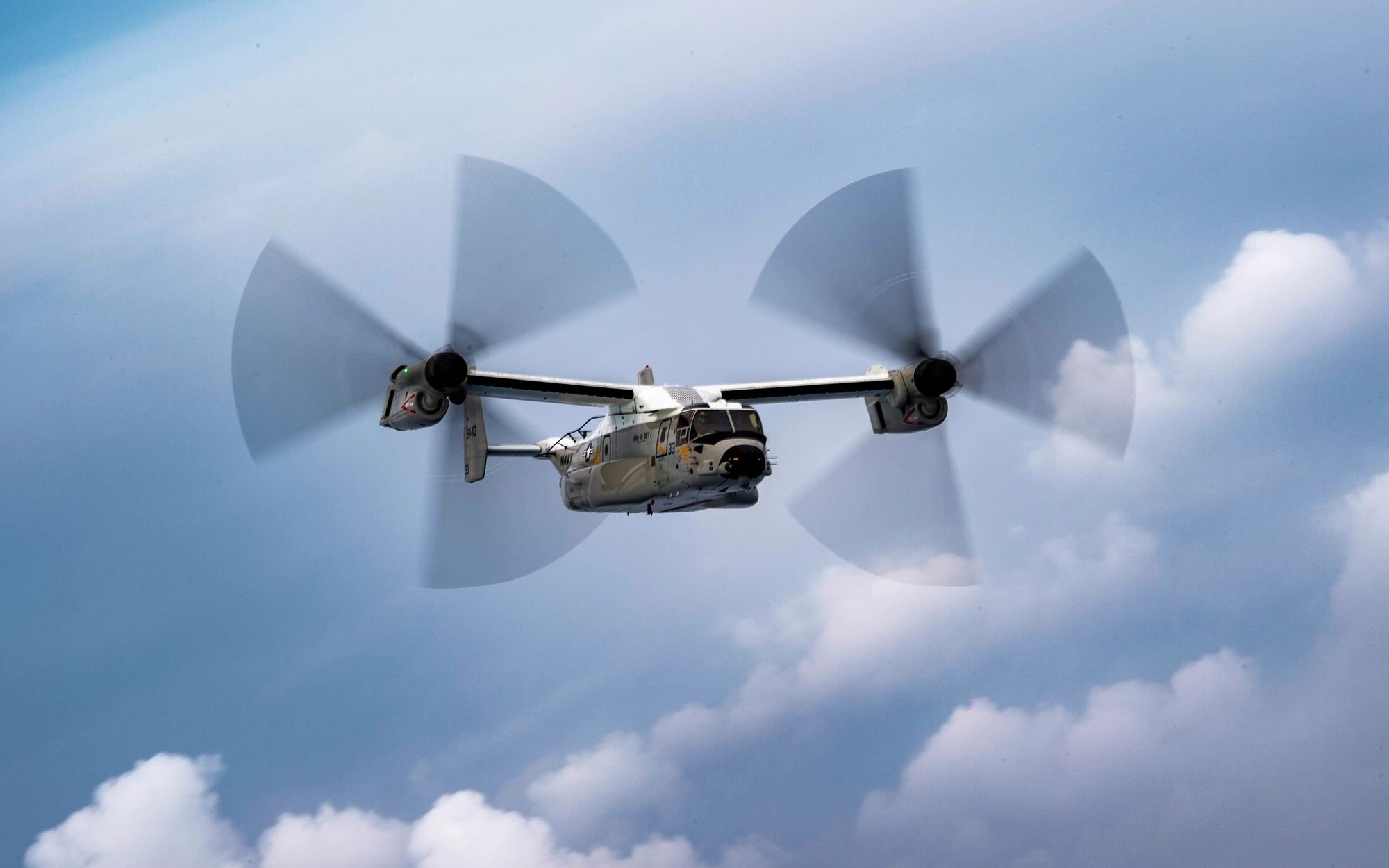 Ospreys Are Grounded Around The World: Will They Come Back?