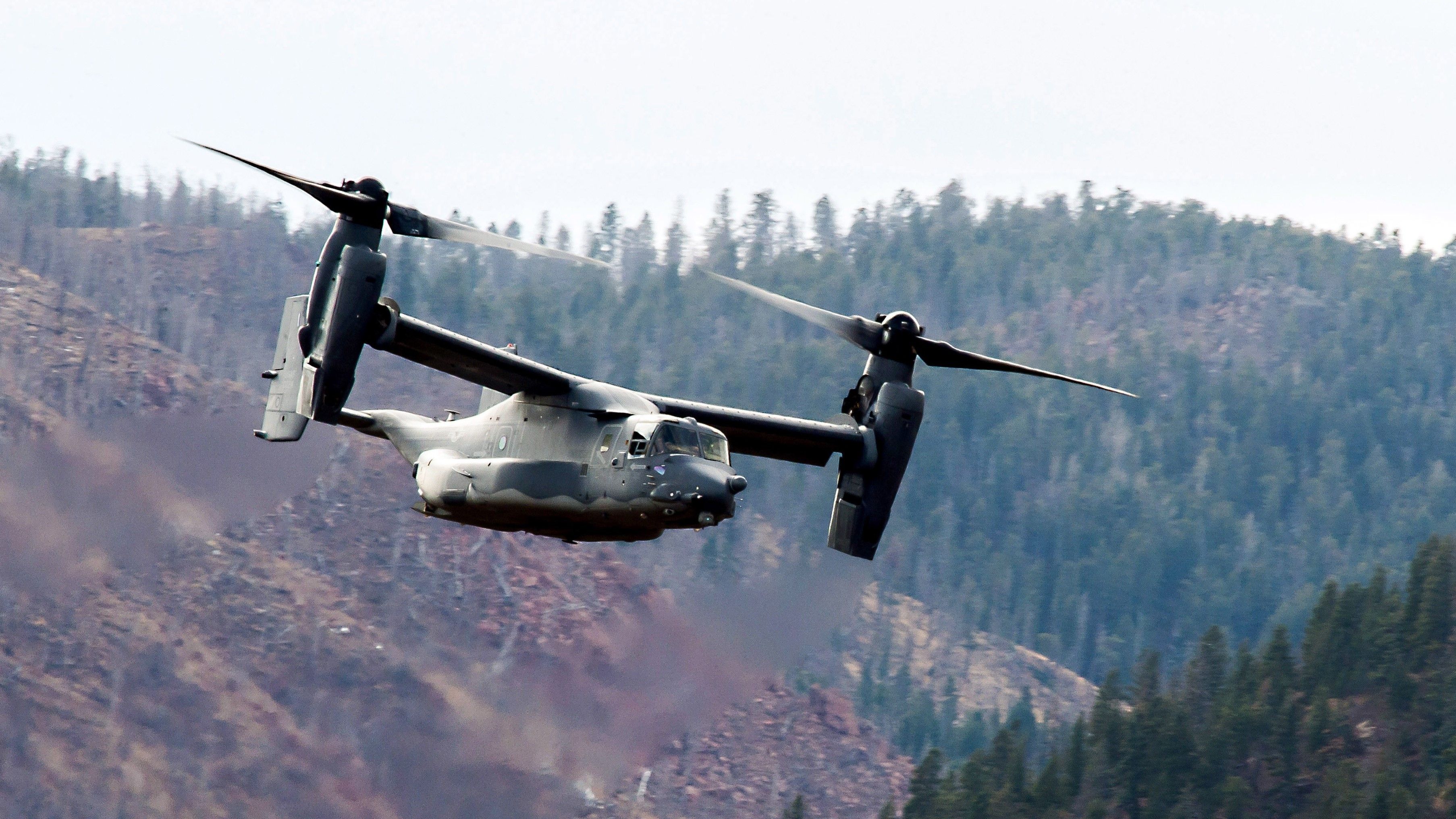 Ospreys Are Grounded Around The World: Will They Come Back?