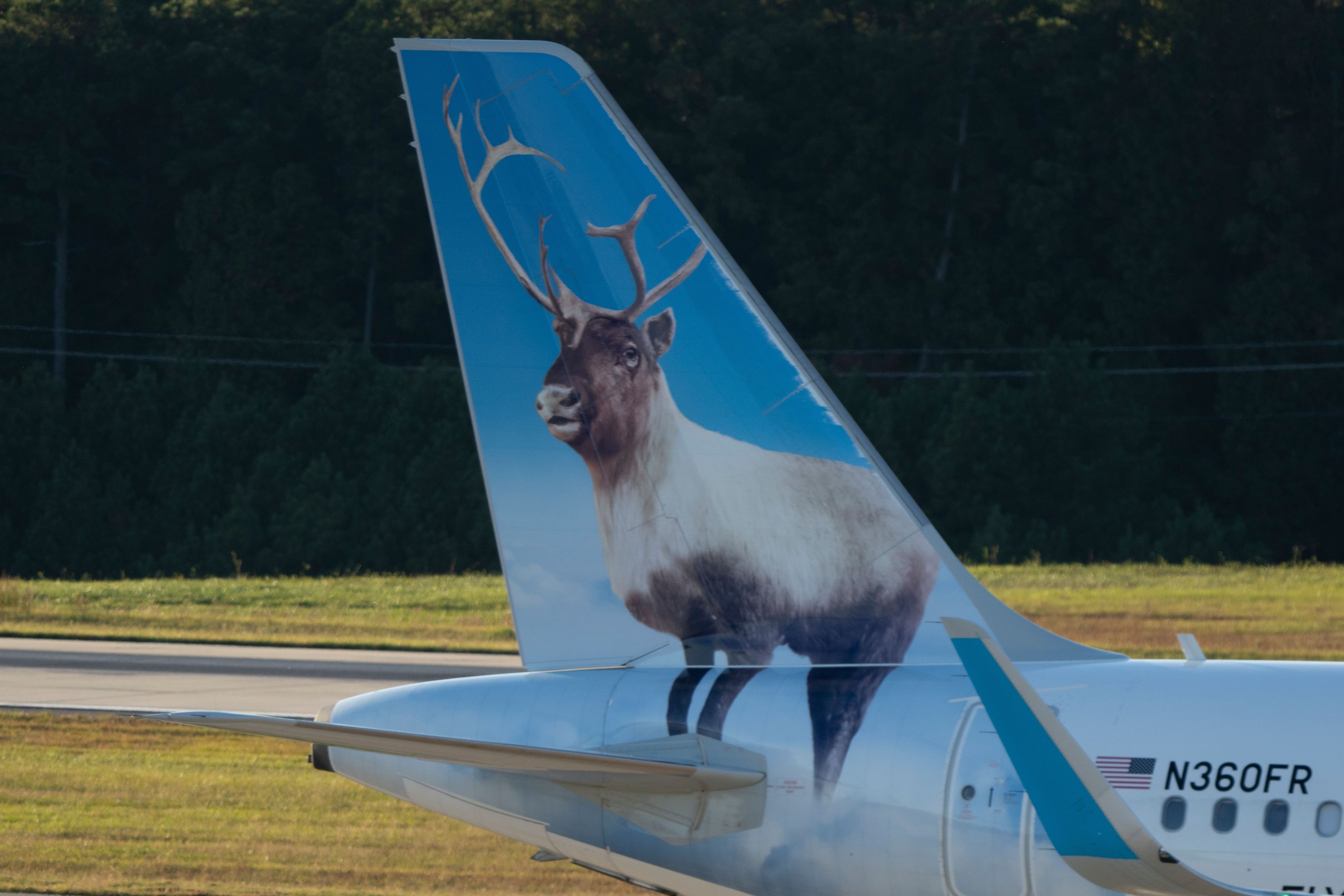 Can Reindeer Really Fly? The Science-Based Answer
