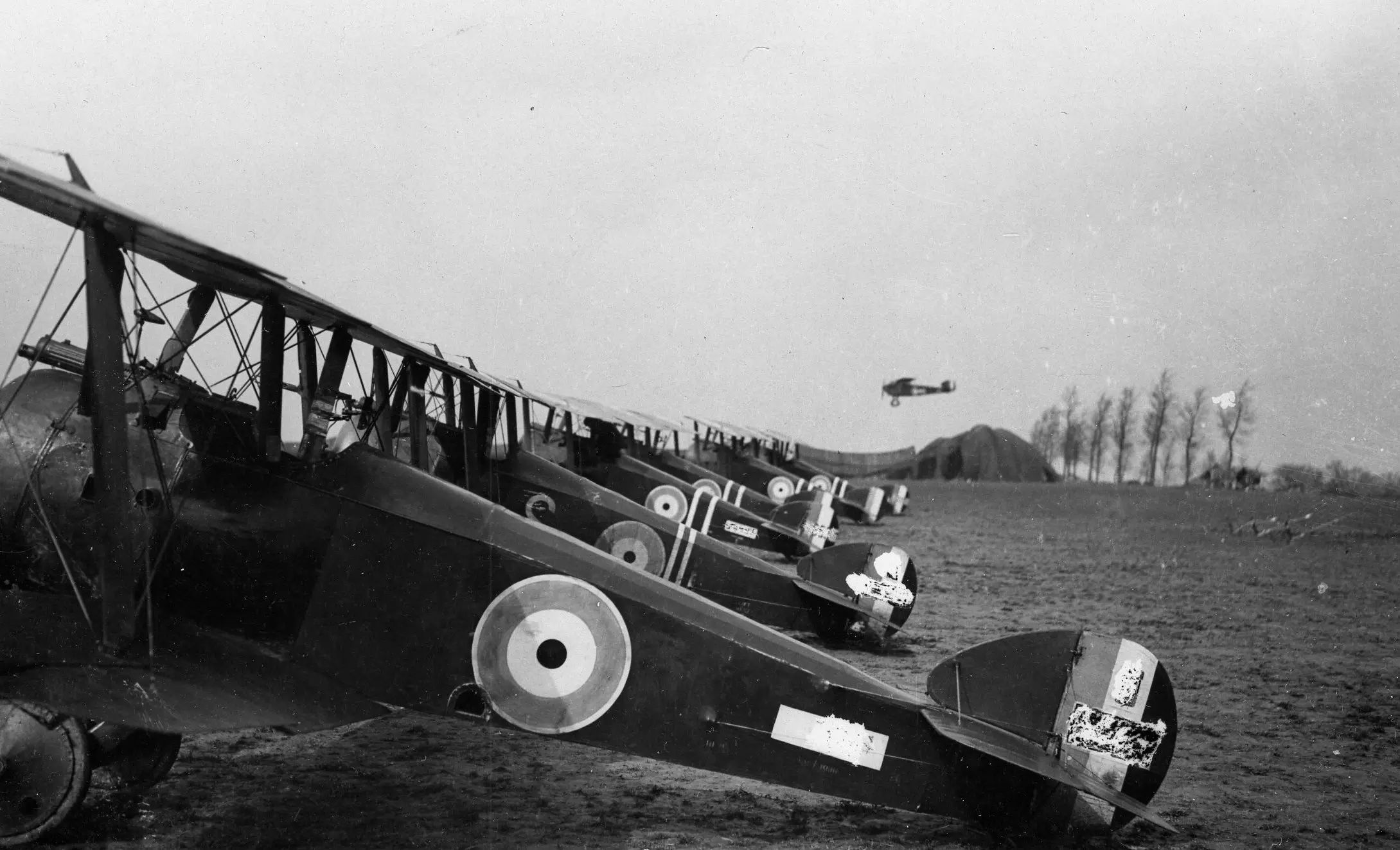 British Biplane: The Story Of The Sopwith Camel