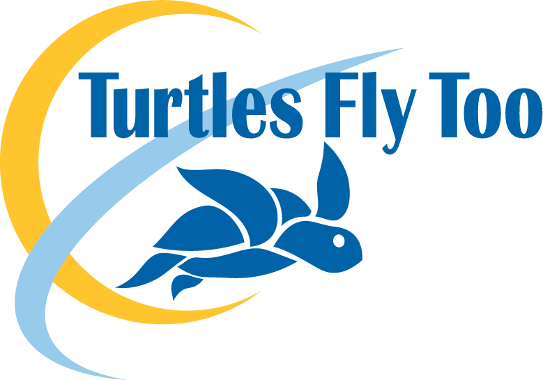 Turtles Fly Too: Inside The Non-Profit That Relocates Sea Turtles By Air
