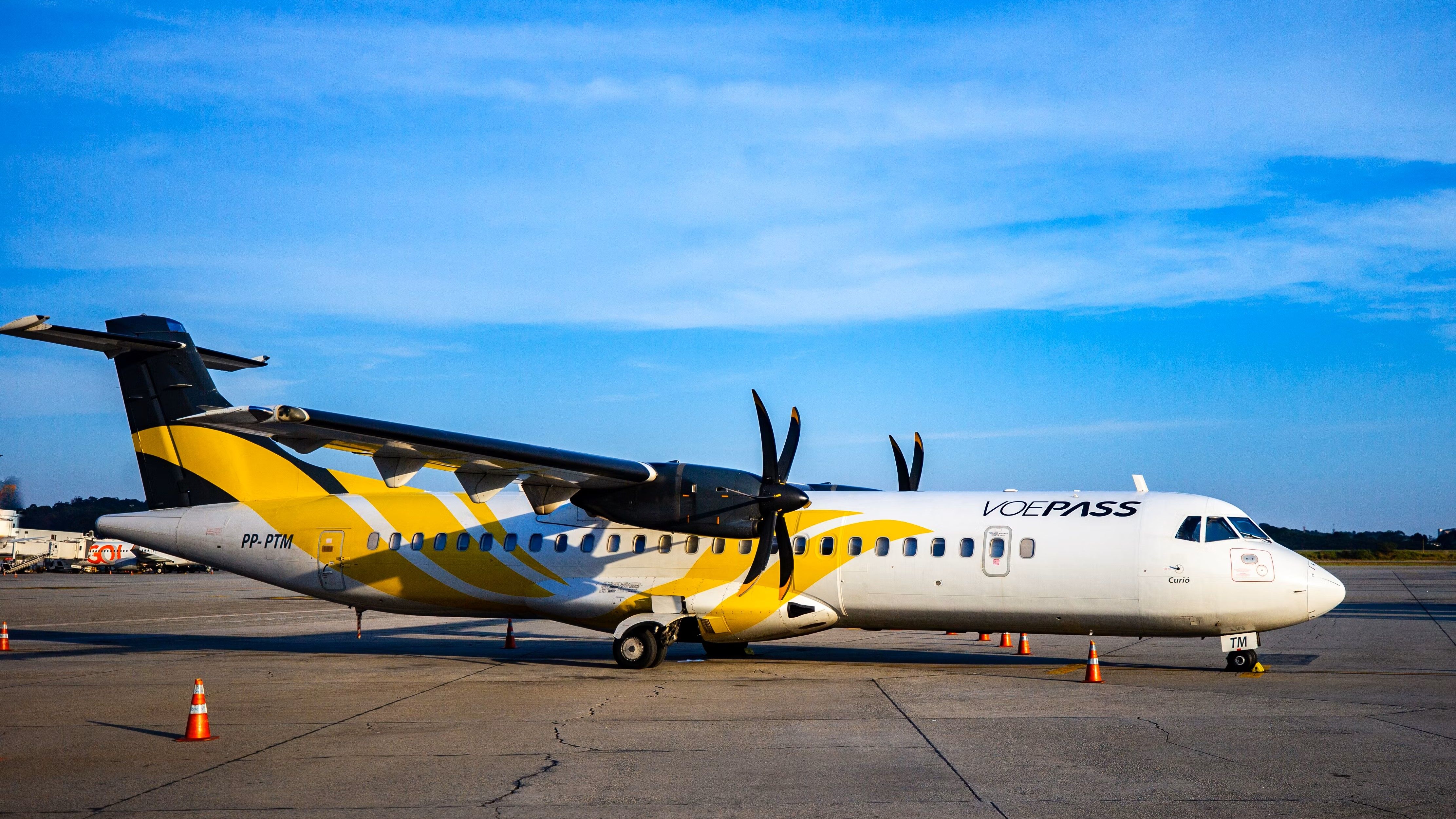 Swarm Of Bees Traps Passengers On VOEPASS Aircraft