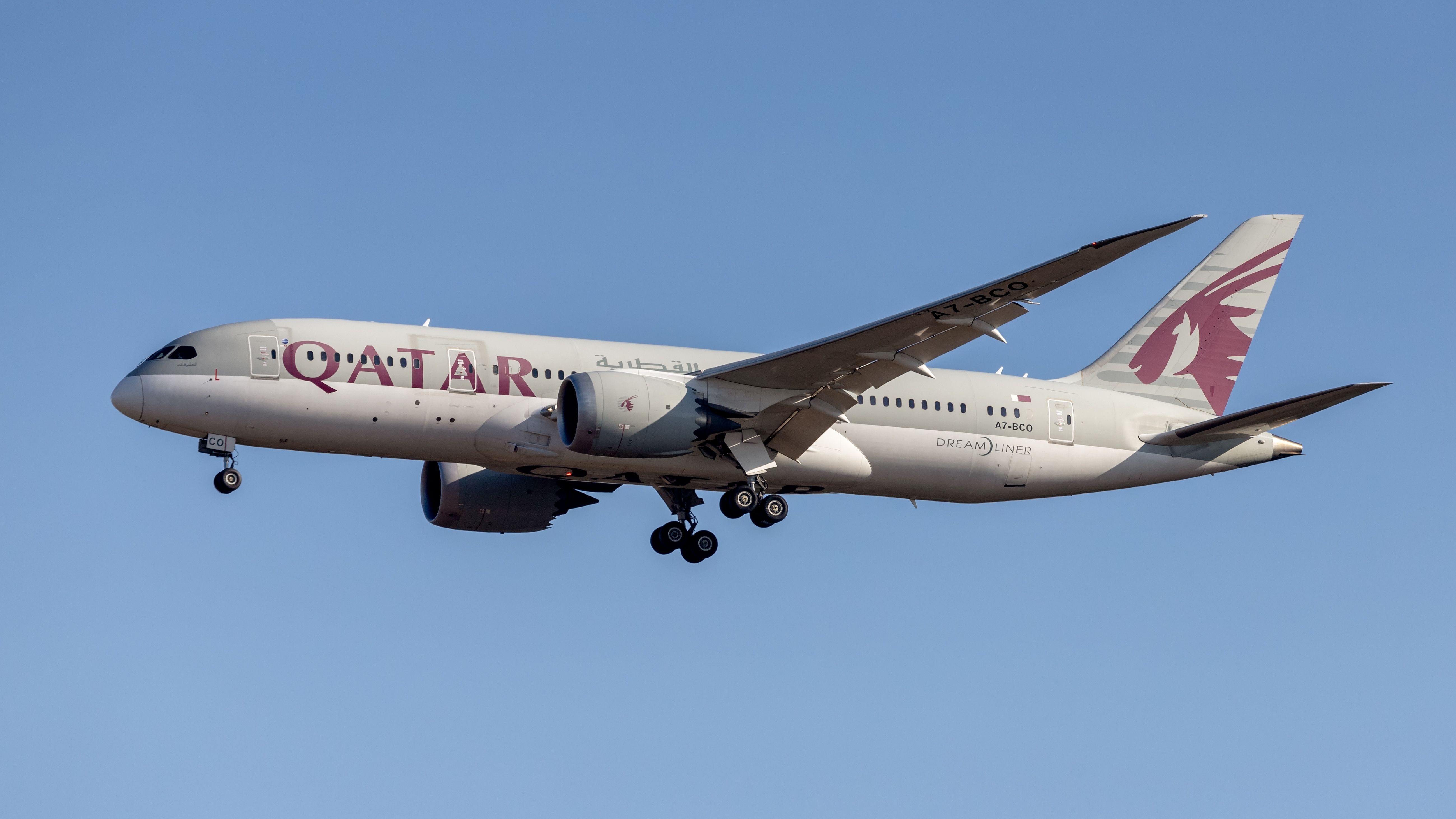 TCAS Involved In Somalia Near Miss Between Qatar Boeing 787 & Ethiopian ...