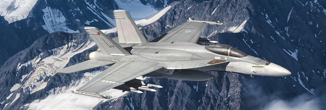 Which Fighter Jets Are In The Royal Canadian Air Force's Fleet?