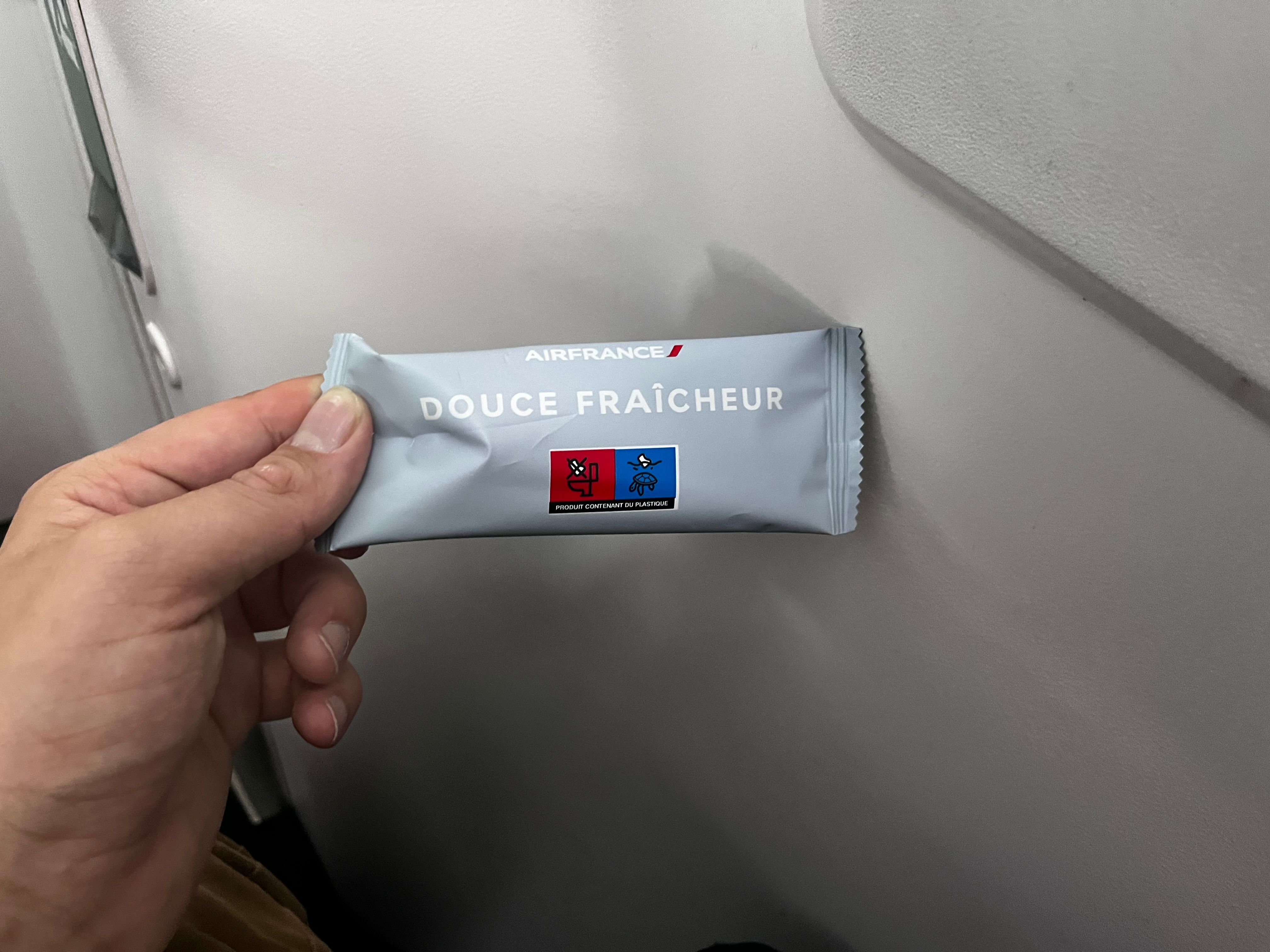 Flight Review: Air France Boeing 787-9 Dreamliner Economy Class From ...