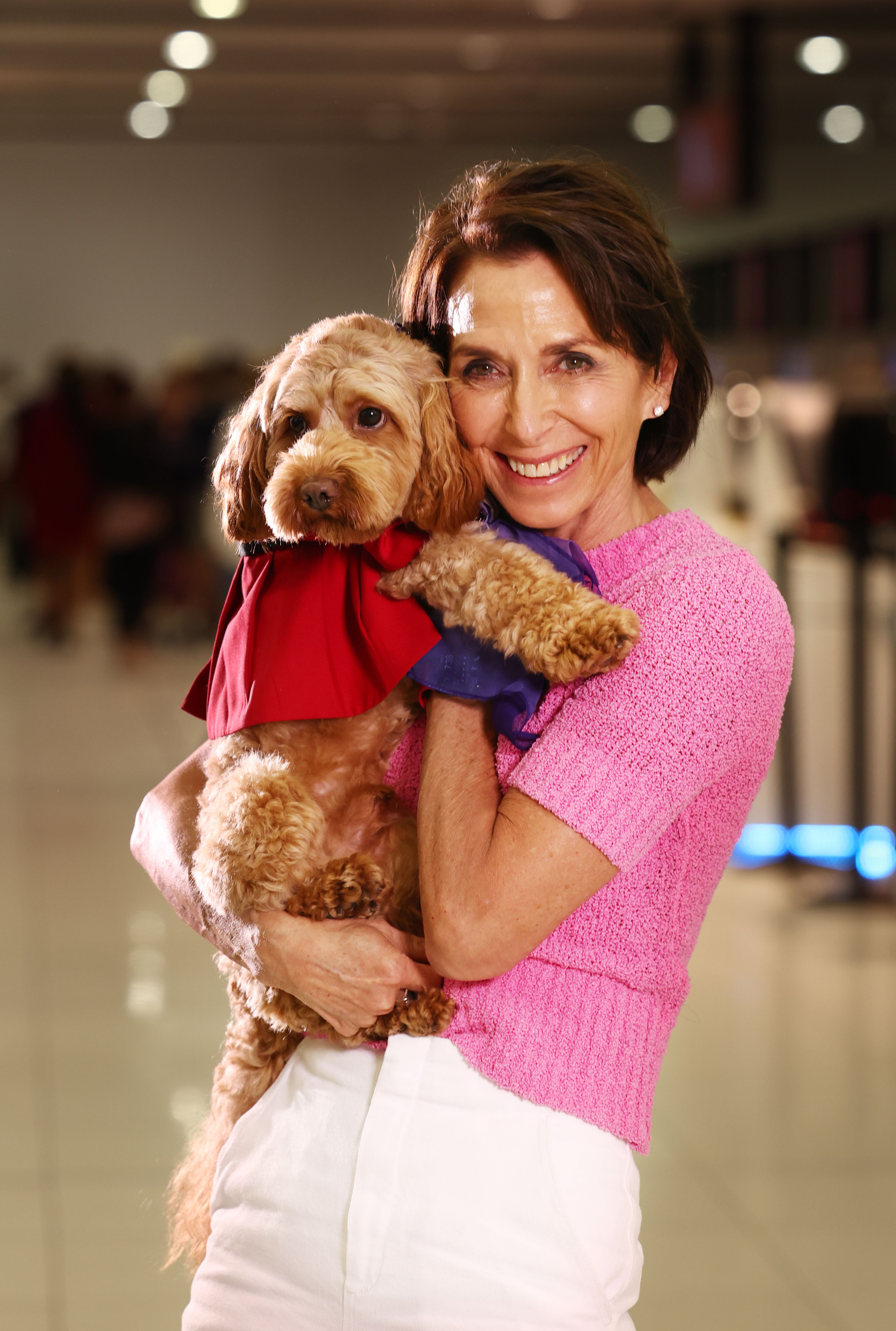 Virgin Australia Announces Australia's First-Ever Pets Onboard