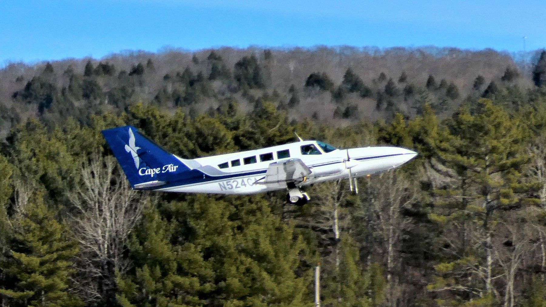 Cape Air Cessna 402C Completes Single Gear Landing In Boston