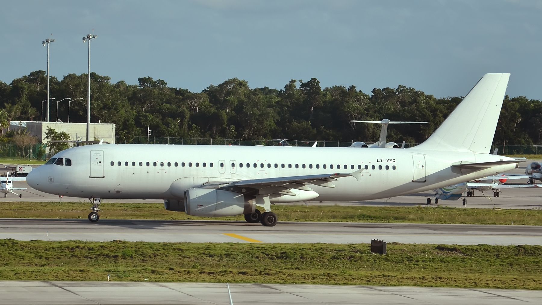 White Tail Aircraft: A Brief Guide