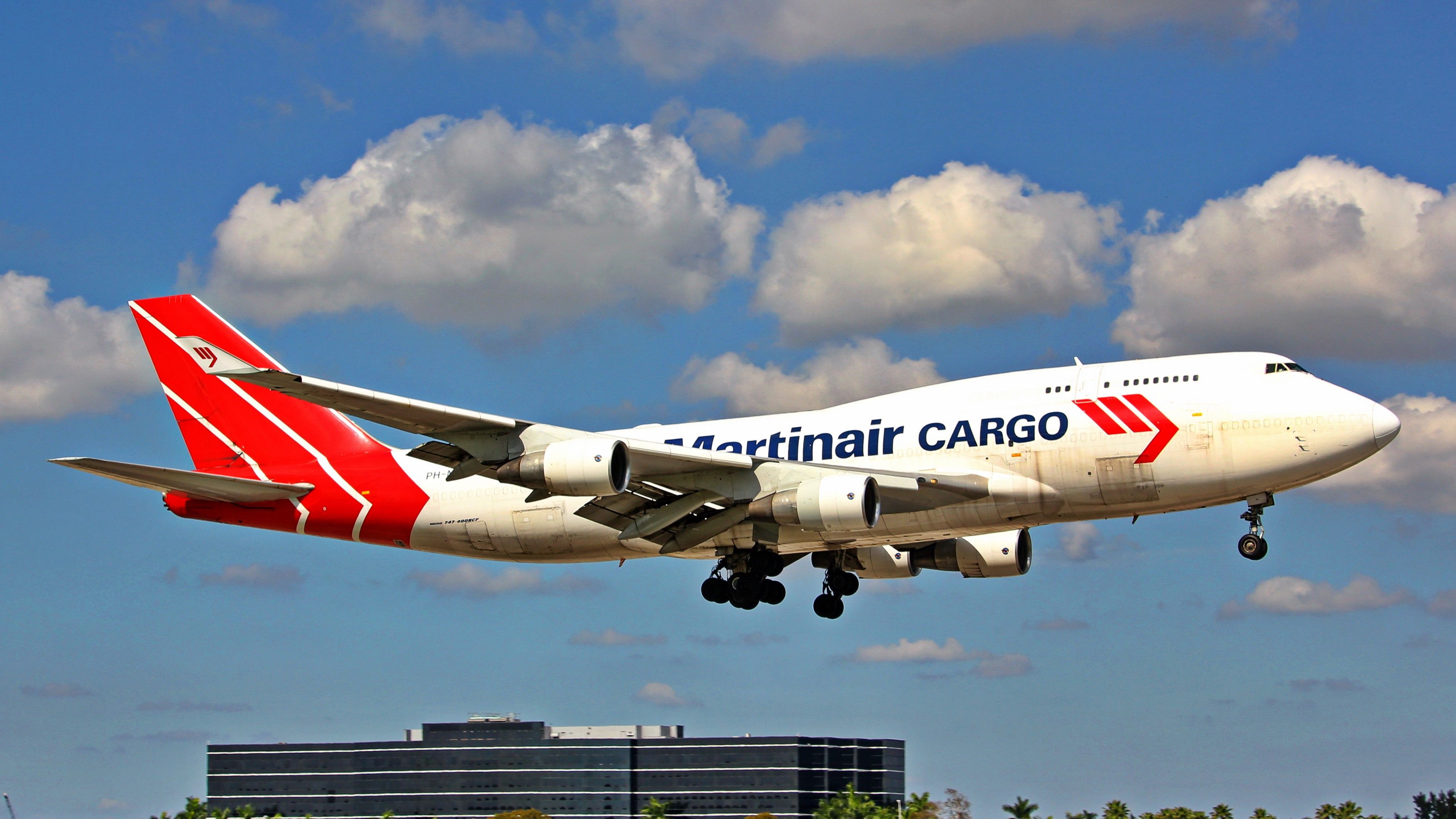 Pride In Flight: Lions Vasylyna & Nikola Travel On Martinair Cargo ...
