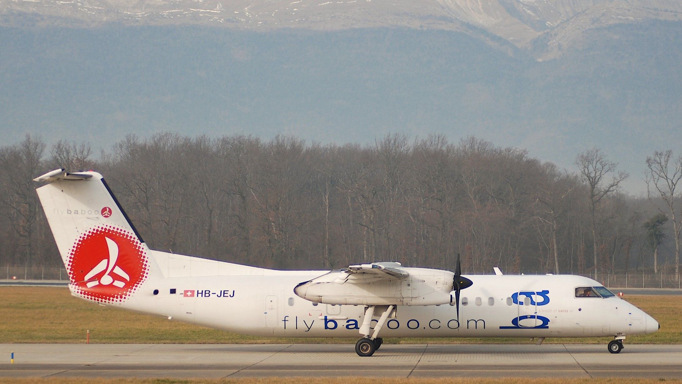 What Happened To Swiss Regional Airline Fly Baboo?