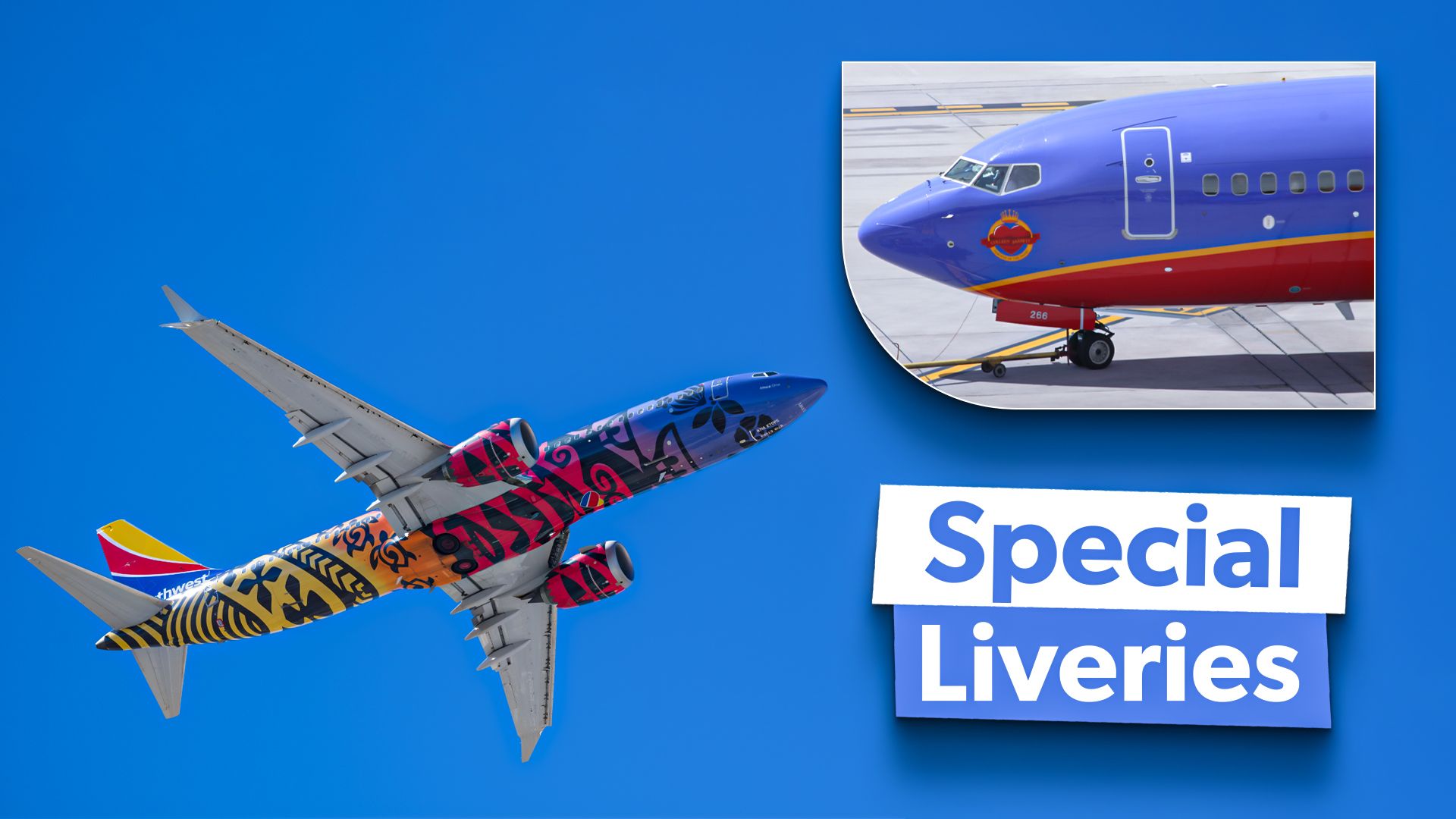 Top 5: The Most Eye-Catching Special Liveries In Southwest Airlines' Fleet